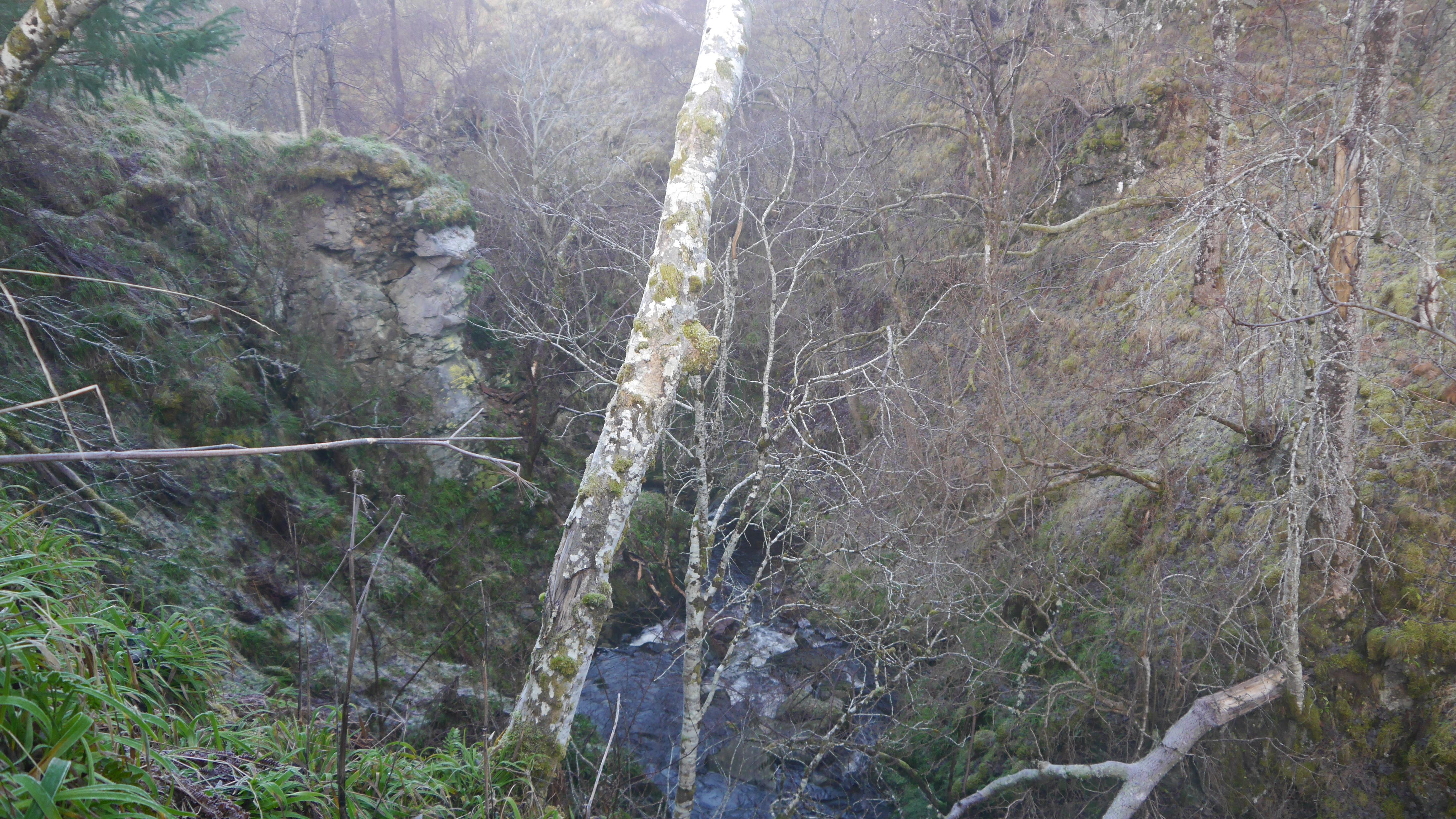 Muckle Fergie Burn | SGT Geosites