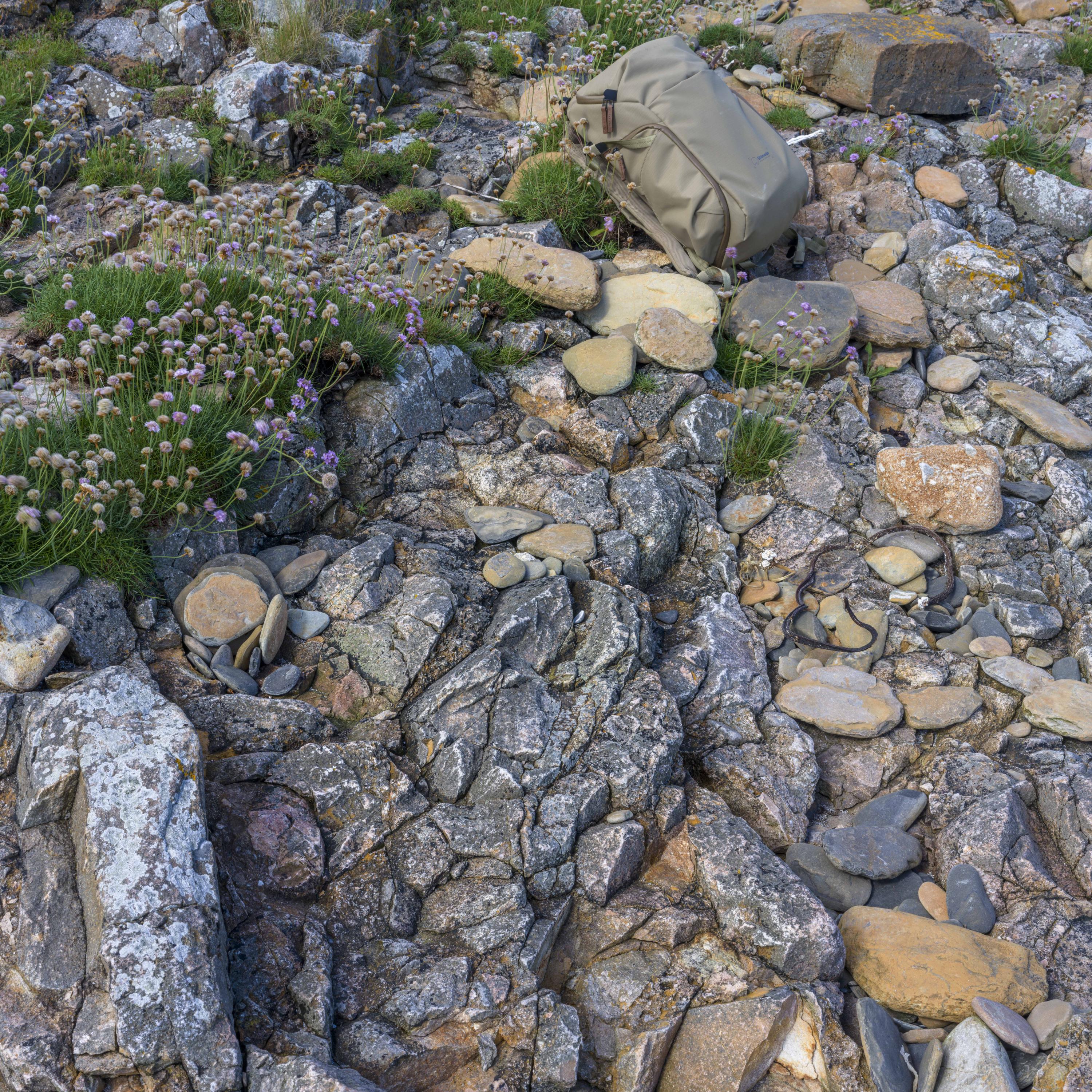 South Stromness Coast Section | SGT Geosites