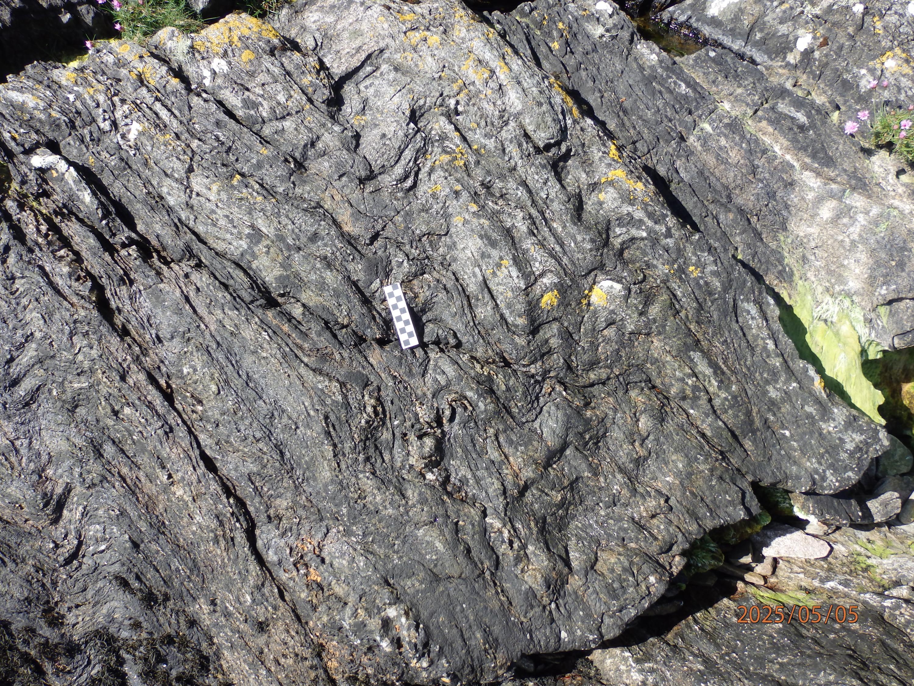 South Bay, Barmore Island | SGT Geosites