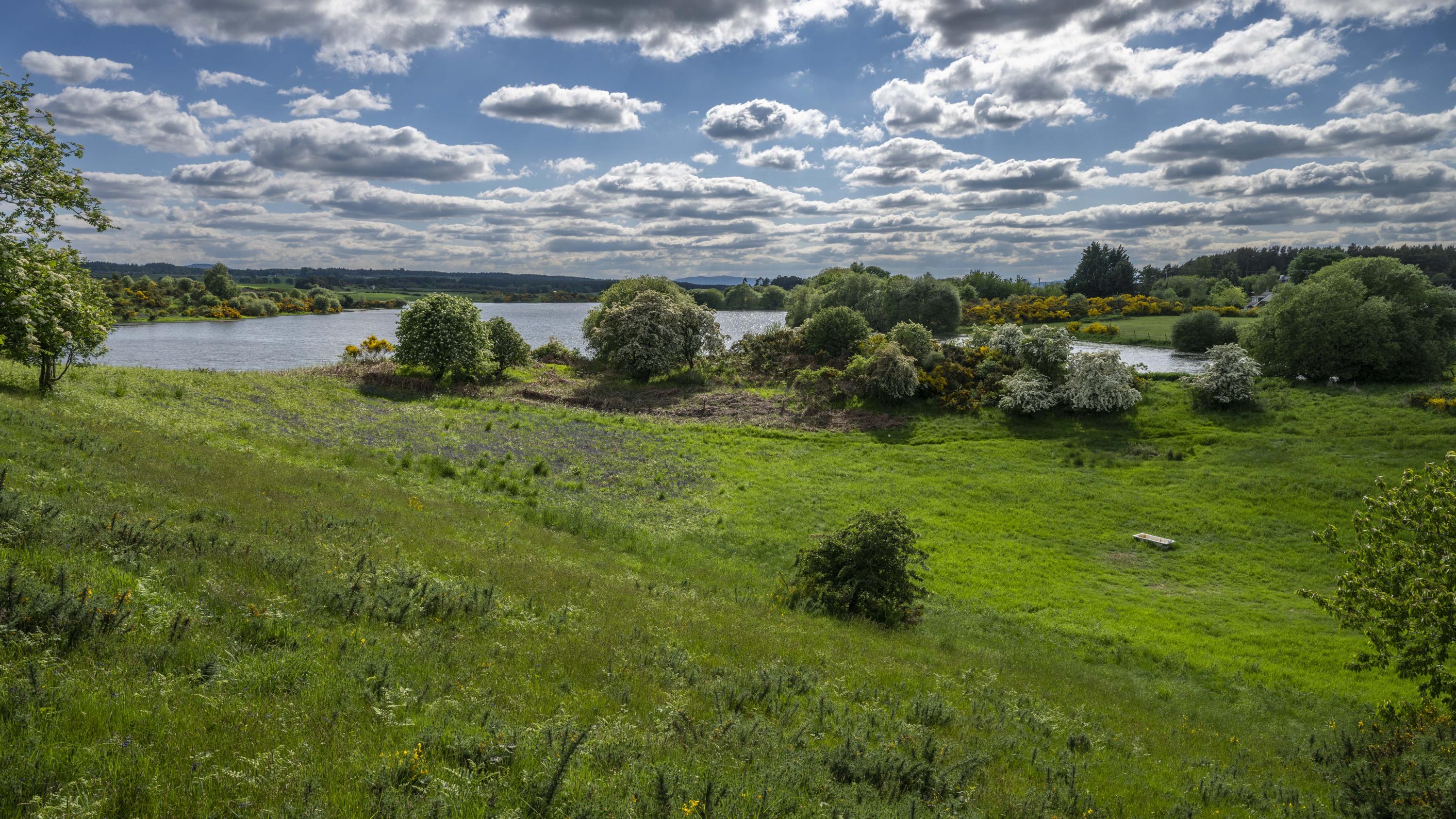 Kildrummie Kames | SGT Geosites