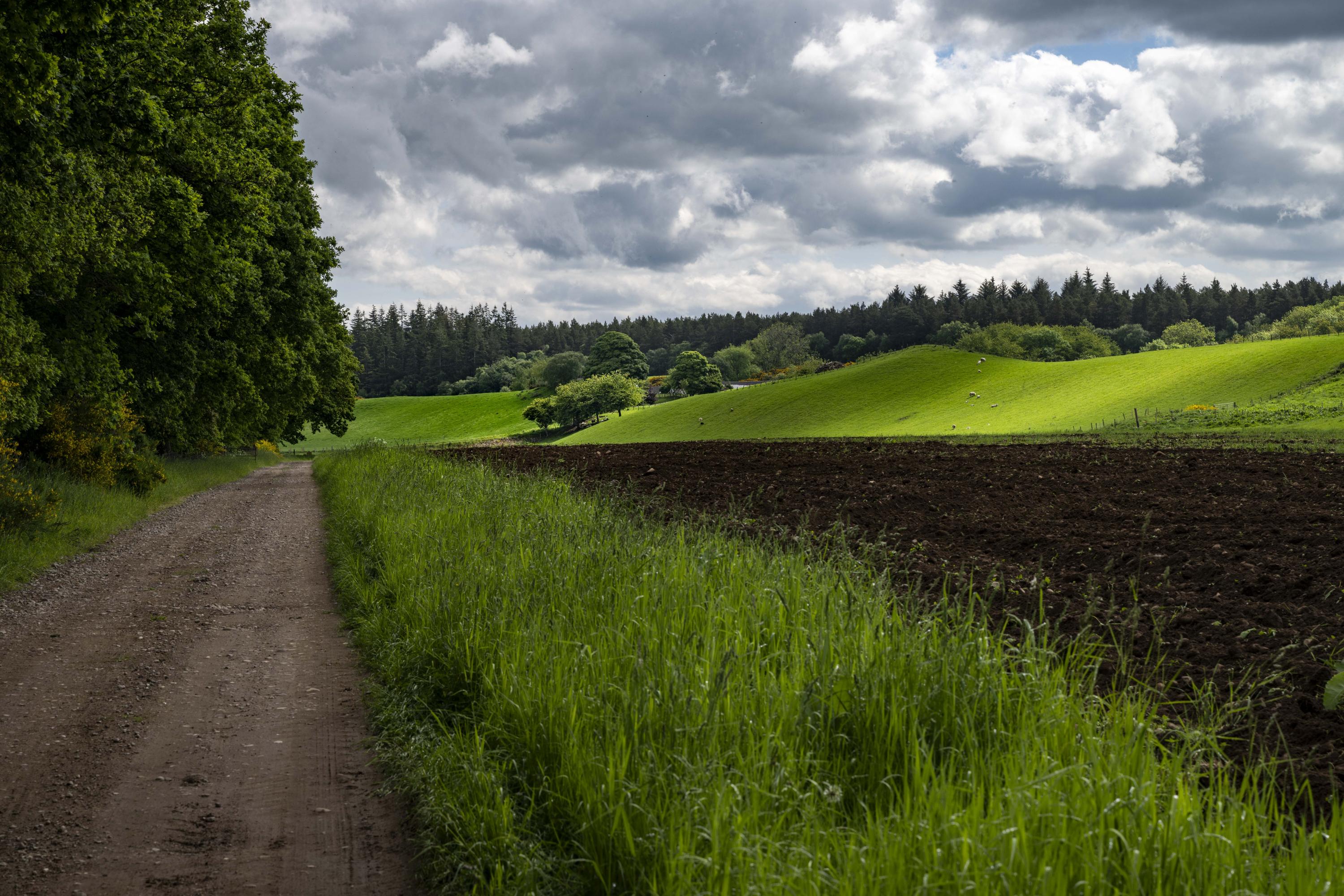 Kildrummie Kames | SGT Geosites