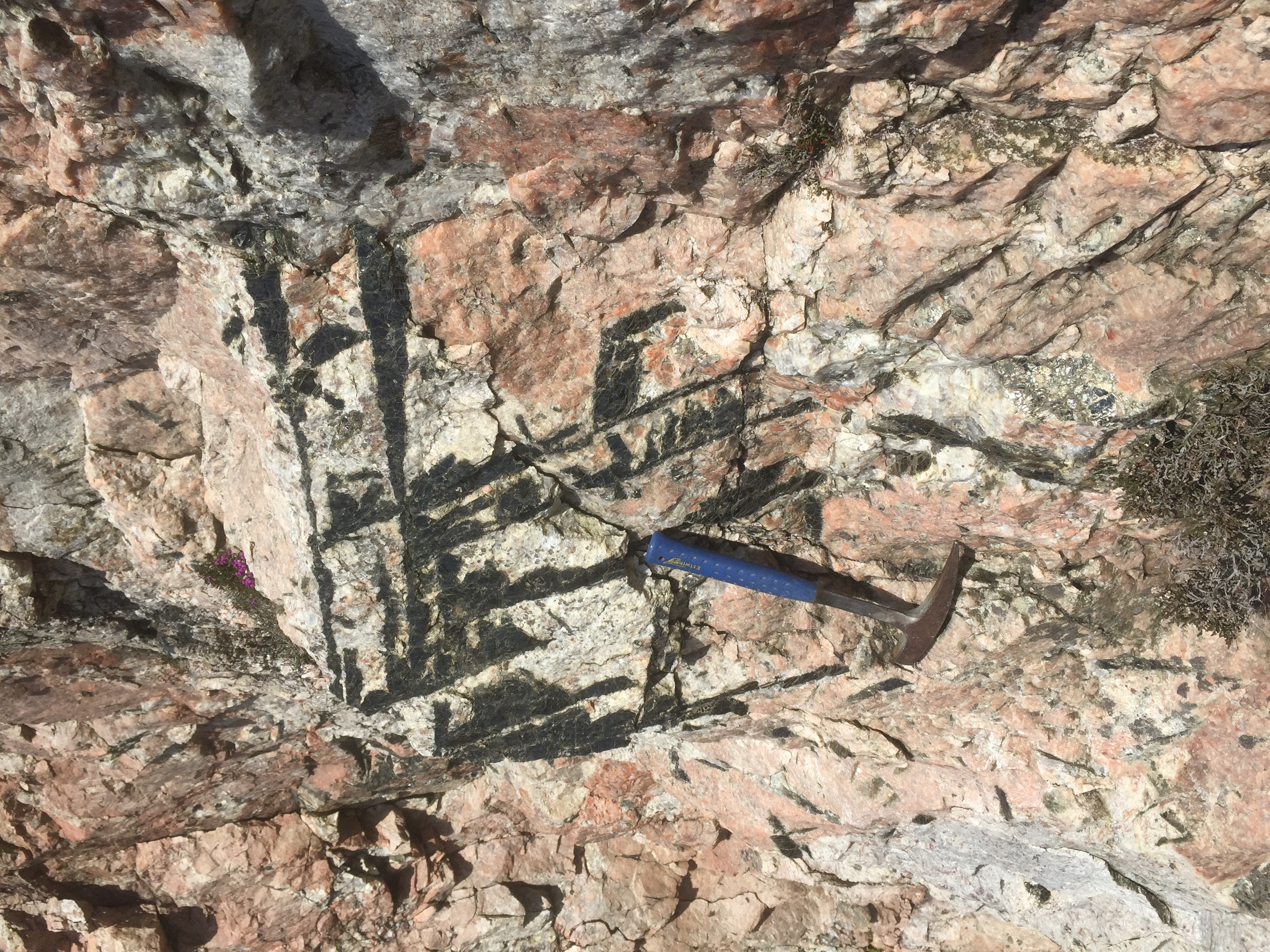 Sletteval Pegmatite Quarry | SGT Geosites