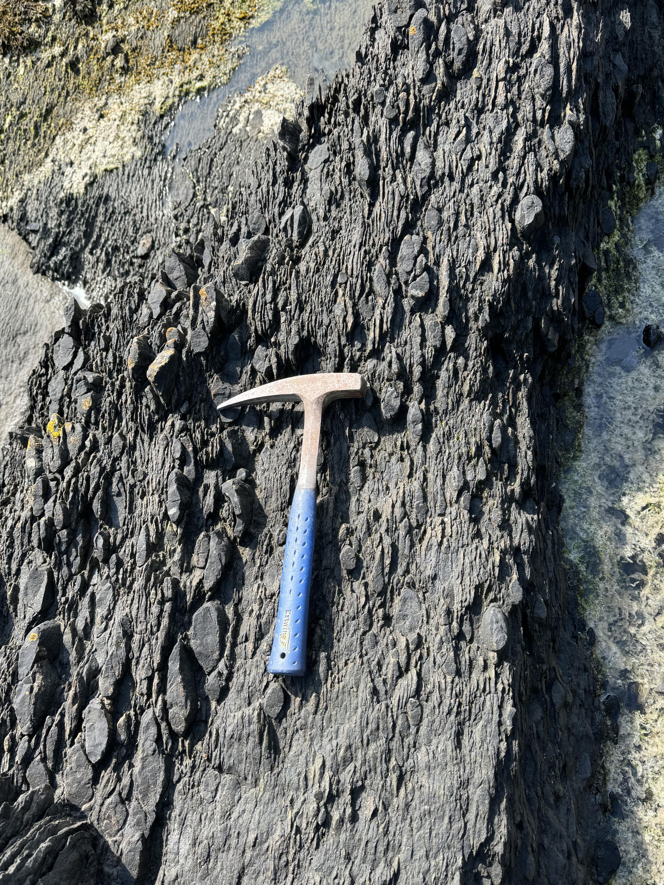 Black Mill Bay, Luing | SGT Geosites