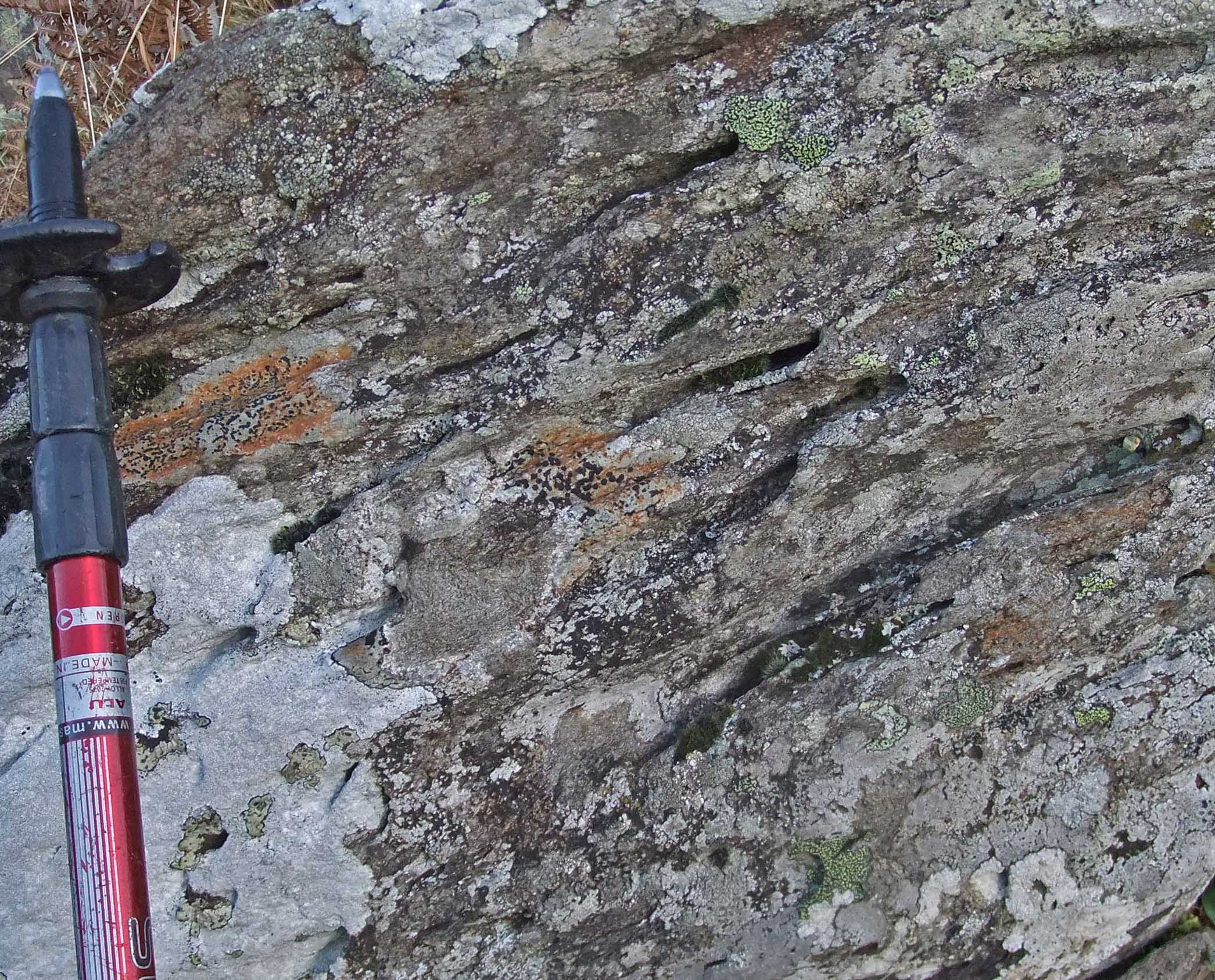 Tempar Burn and Track | SGT Geosites