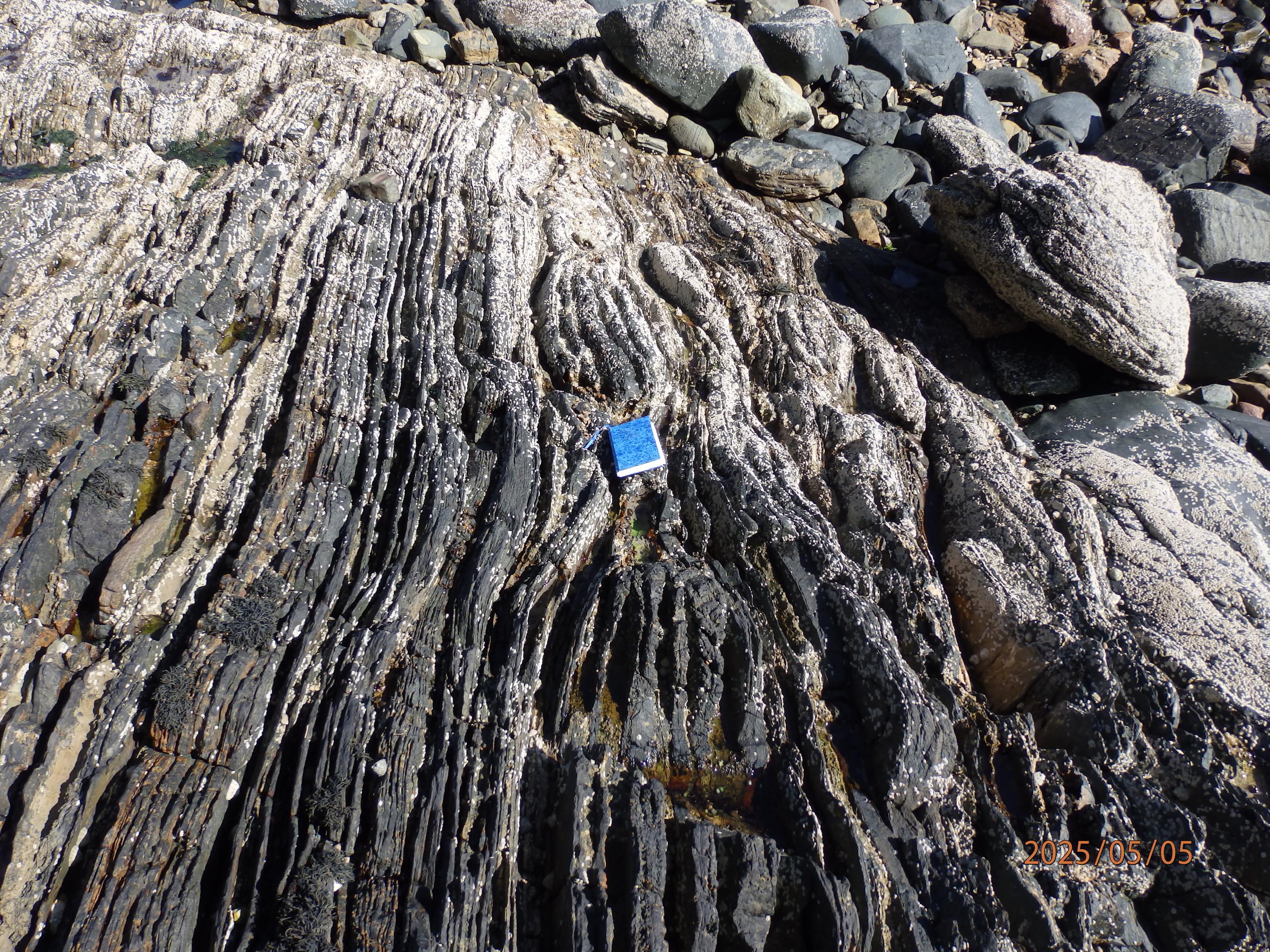 South Bay, Barmore Island | SGT Geosites
