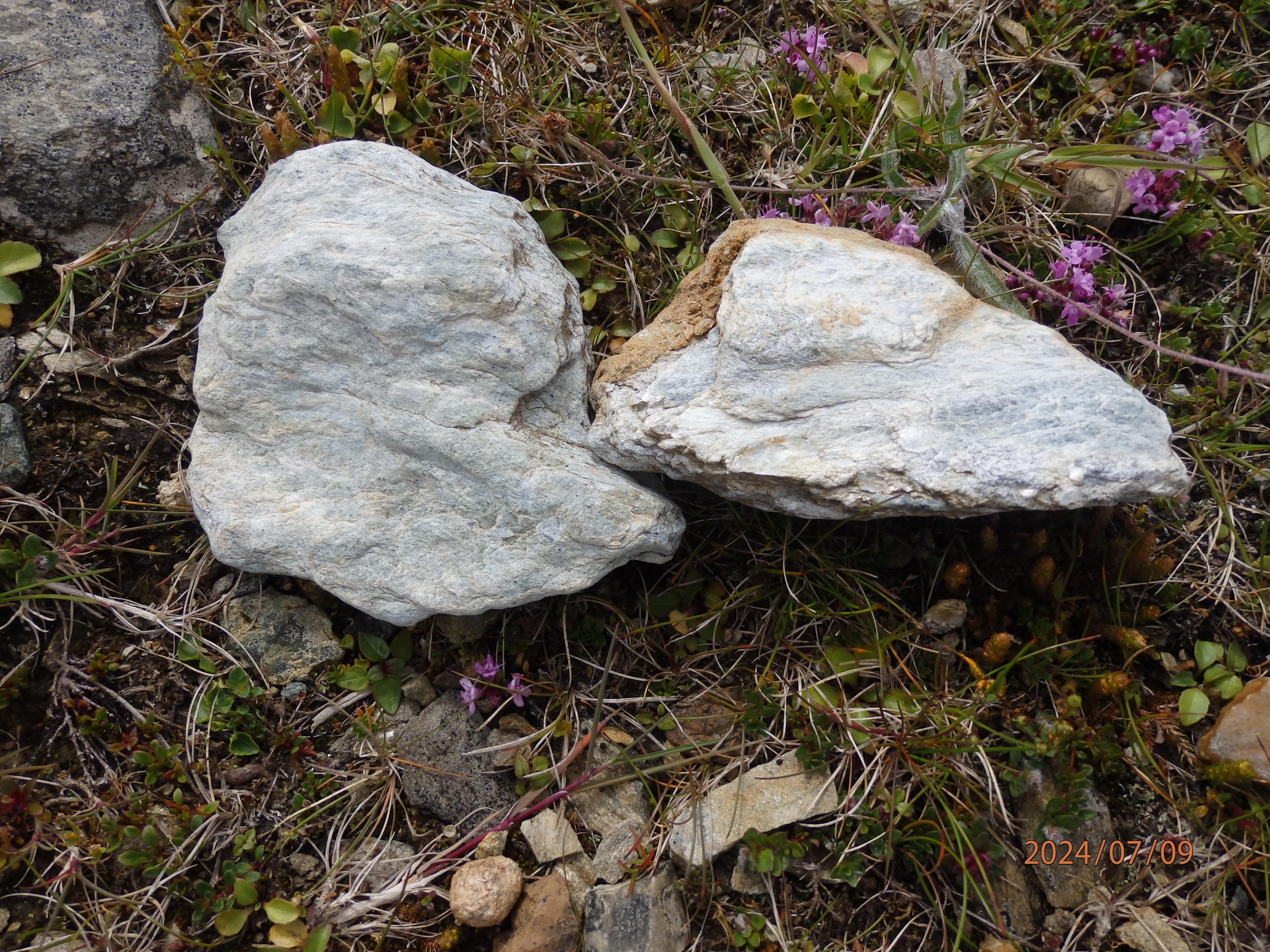 Queyhouse Talc Quarry | SGT Geosites