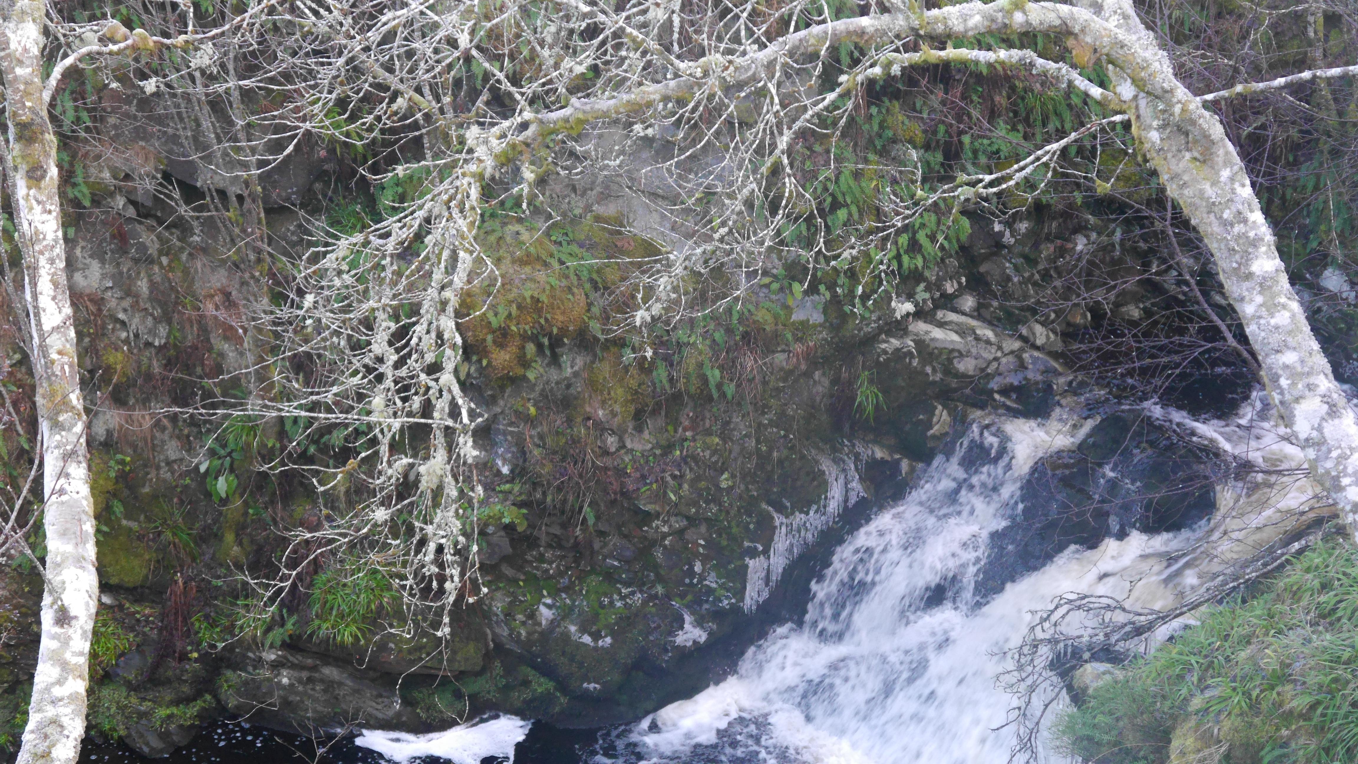 Muckle Fergie Burn | SGT Geosites