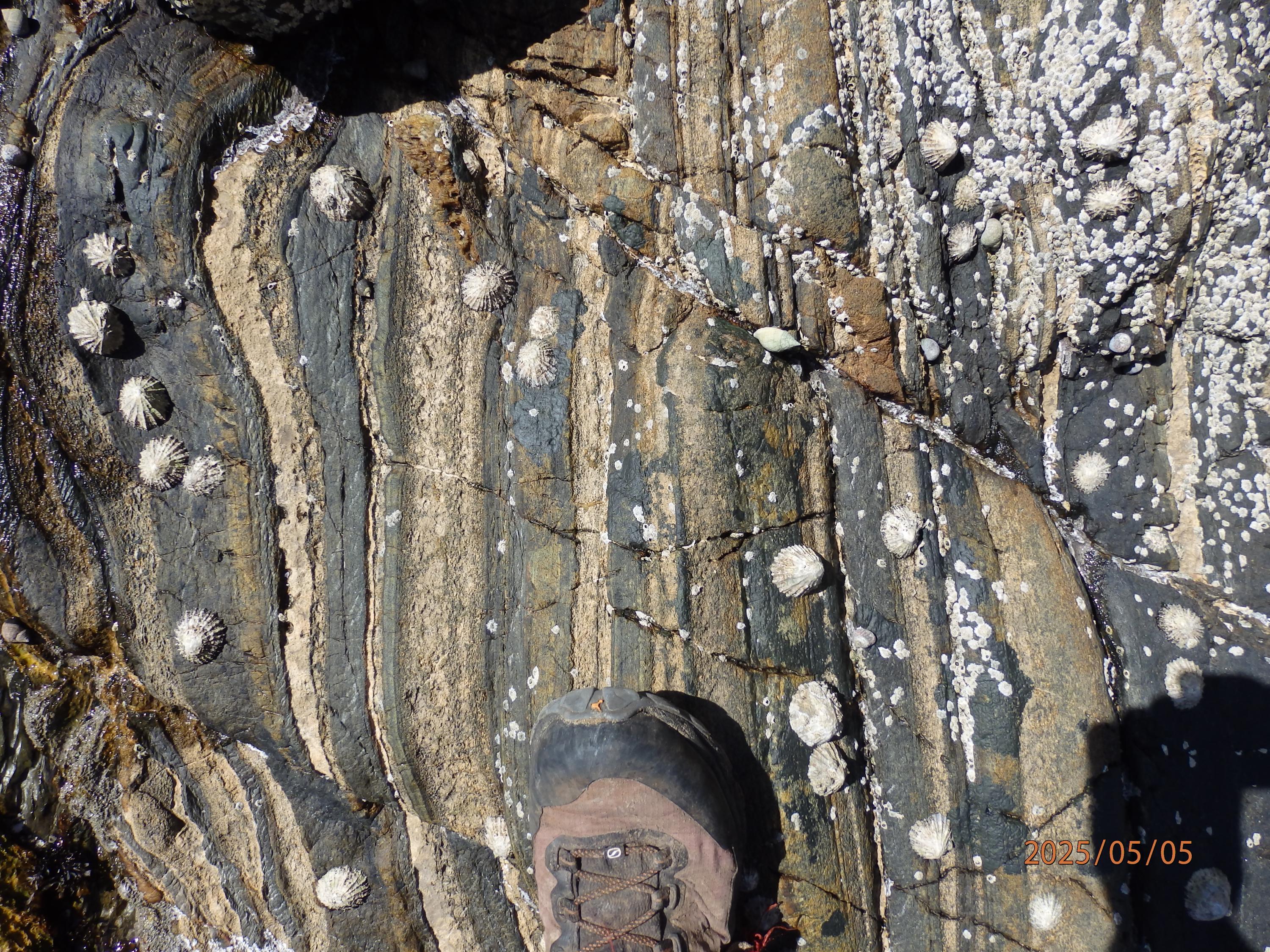 South Bay, Barmore Island | SGT Geosites