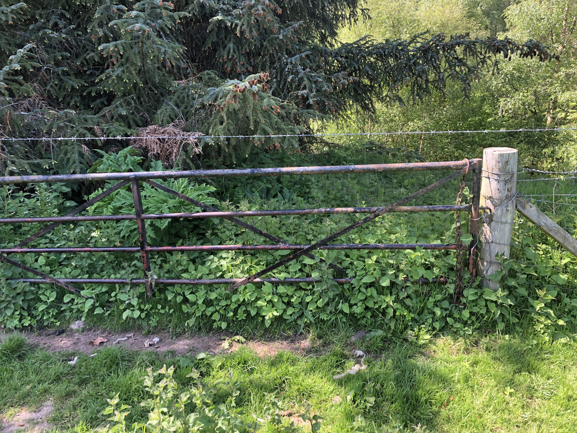 Boghole, Muckle Burn | SGT Geosites