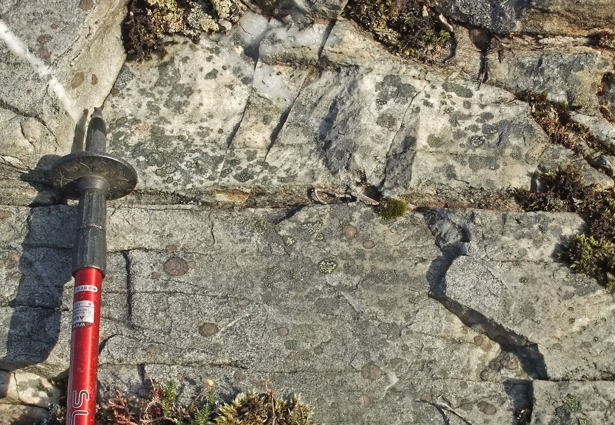 Tempar Burn and Track | SGT Geosites