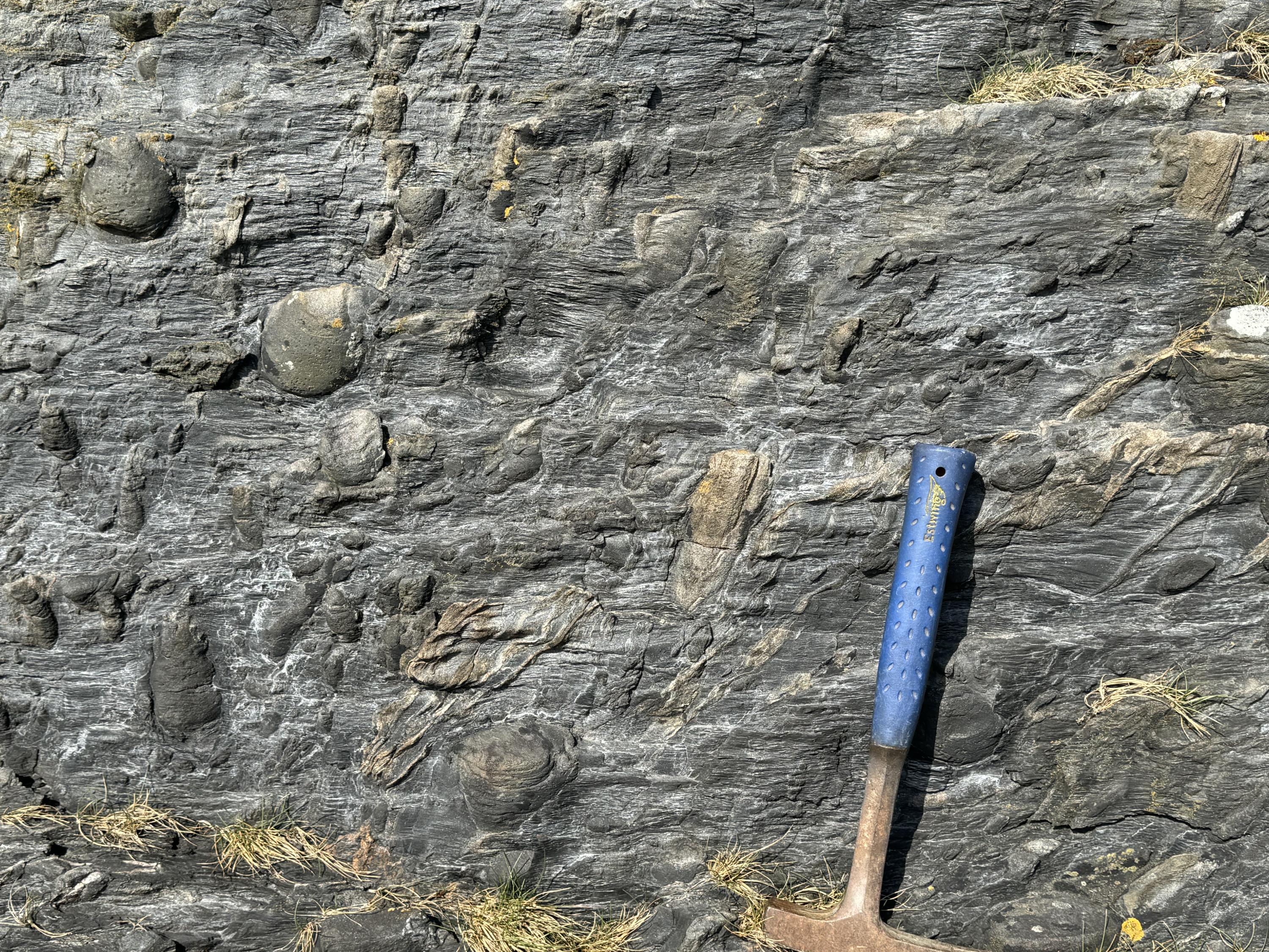 Black Mill Bay, Luing | SGT Geosites