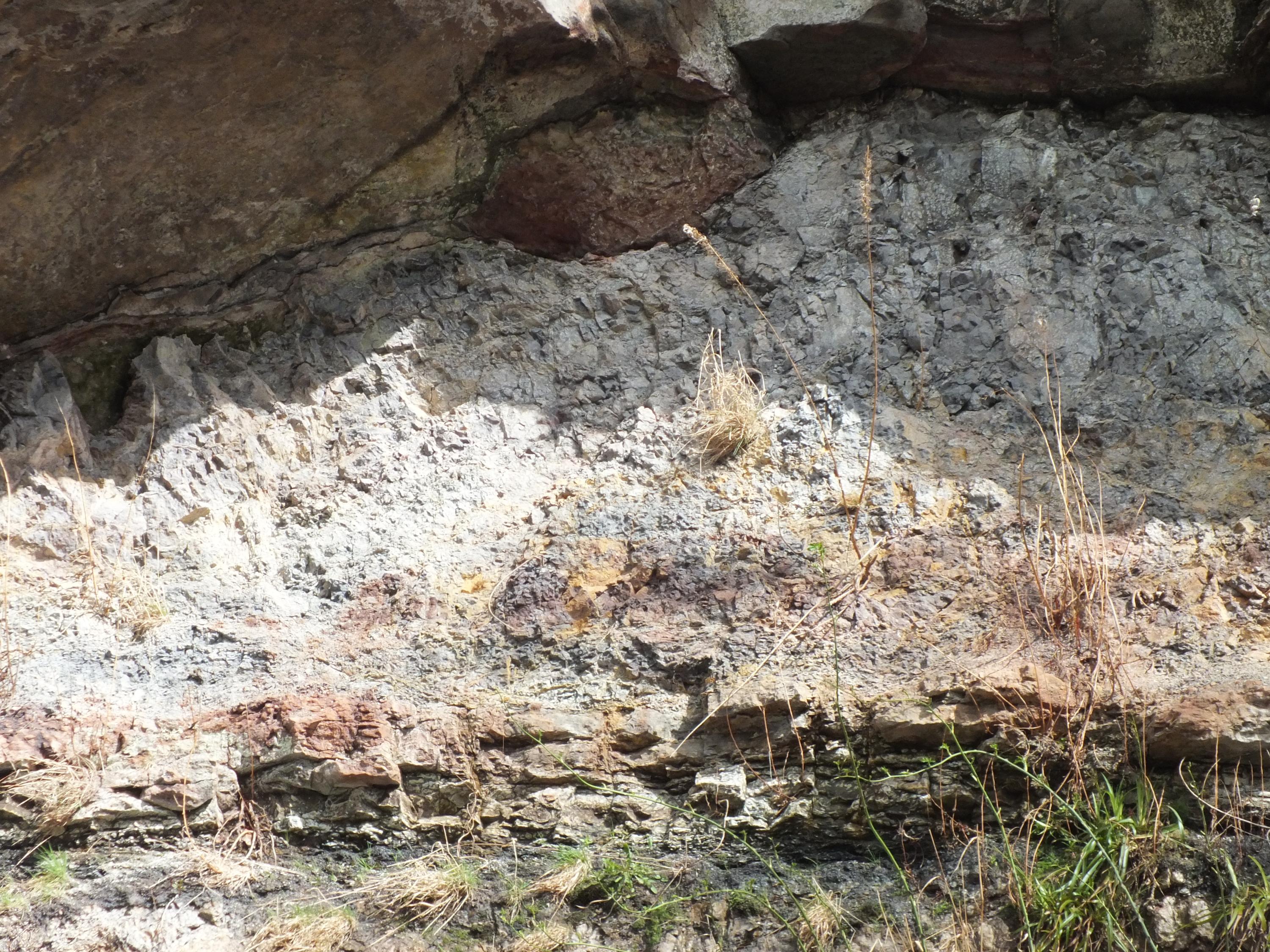 Roslin Glen South | SGT Geosites