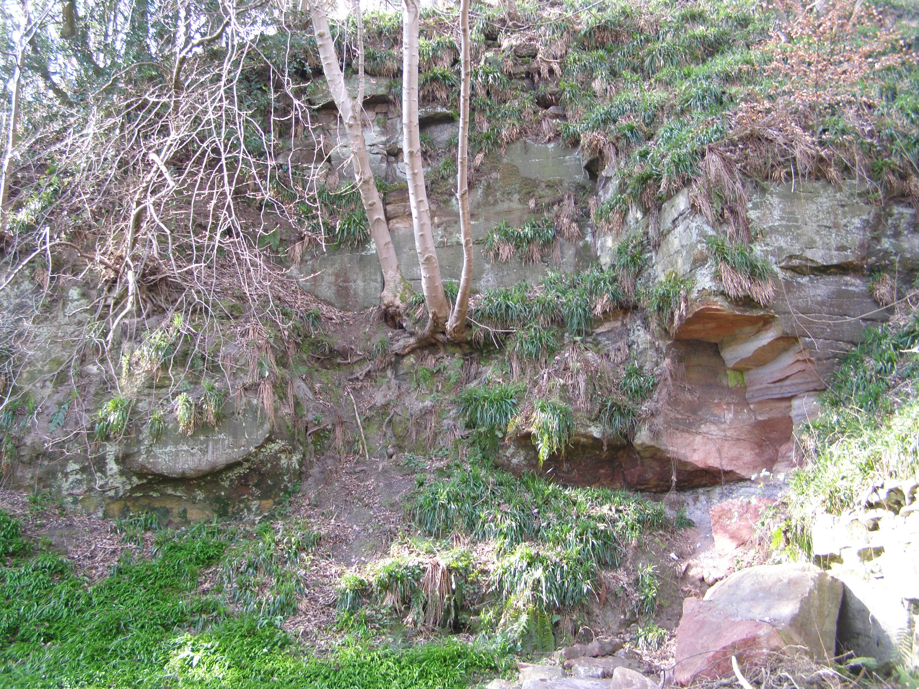 Roslin Glen South | SGT Geosites
