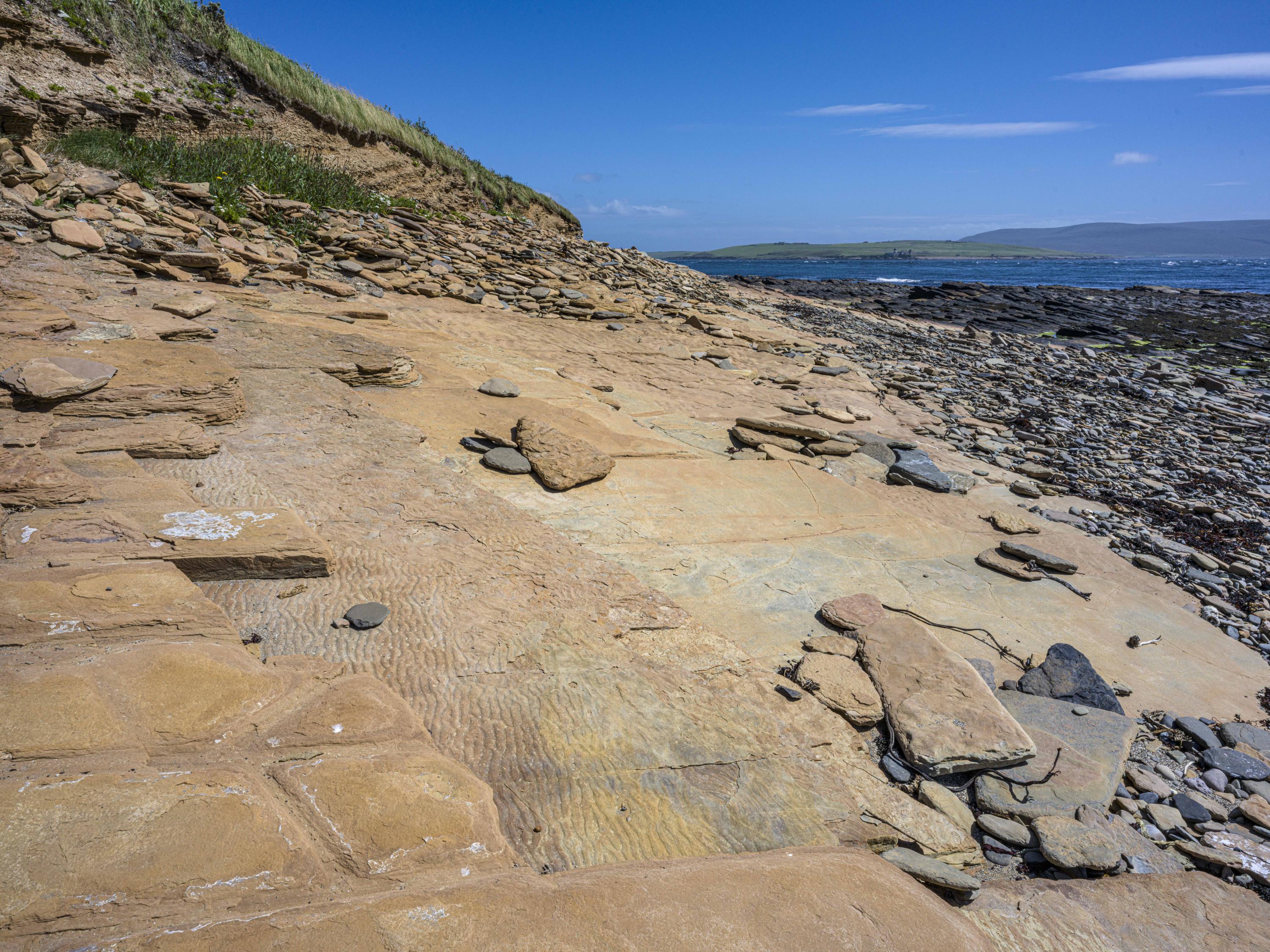 South Stromness Coast Section | SGT Geosites