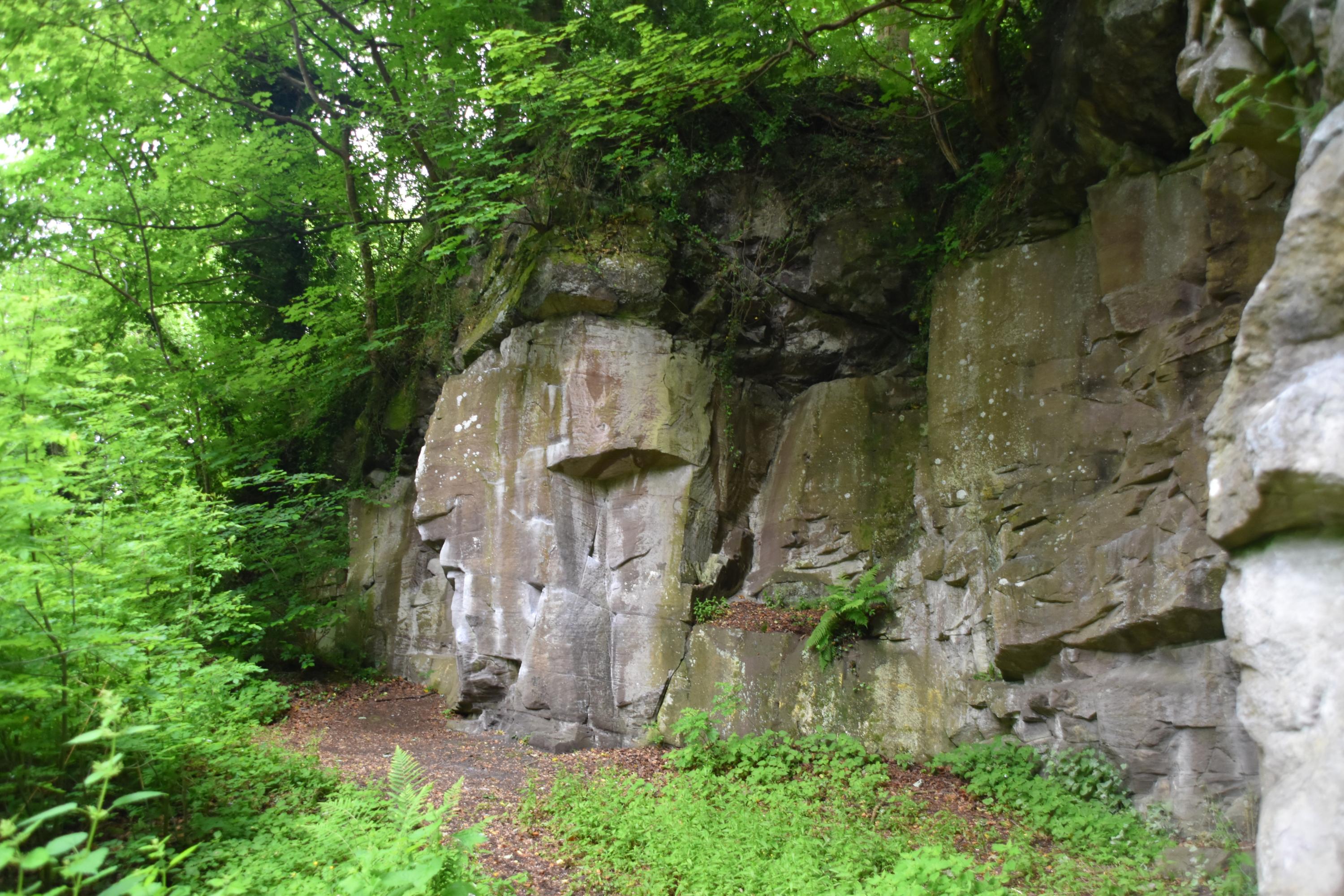 Wolf's Hole Quarry | SGT Geosites