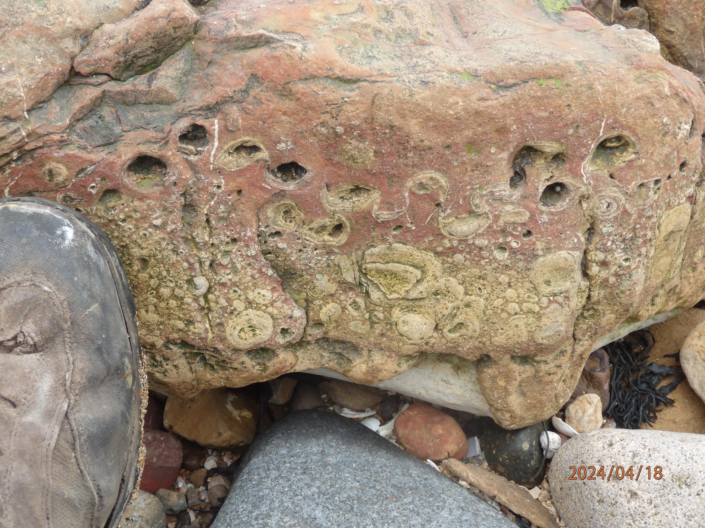 Randerston Coast | SGT Geosites