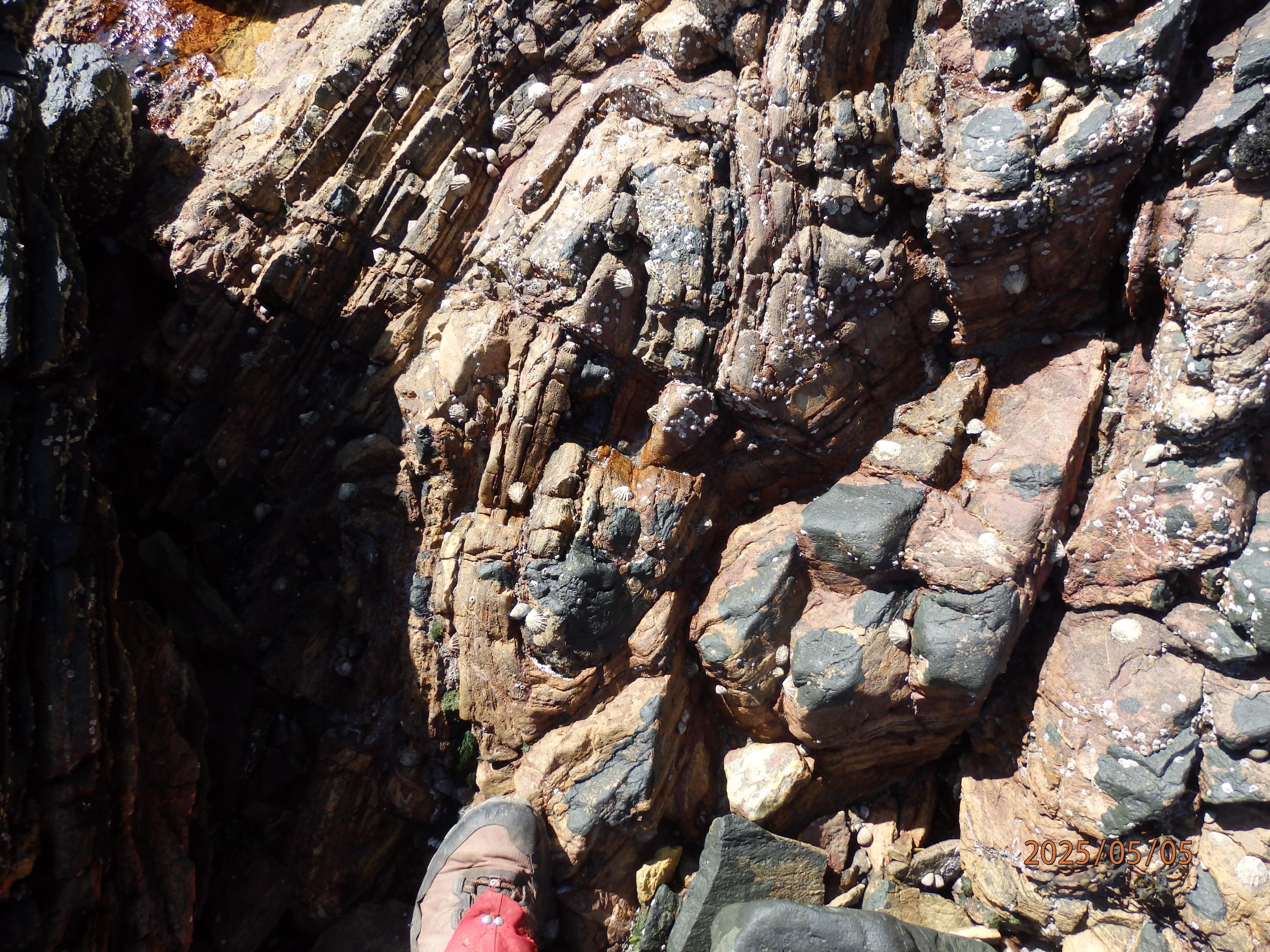South Bay, Barmore Island | SGT Geosites