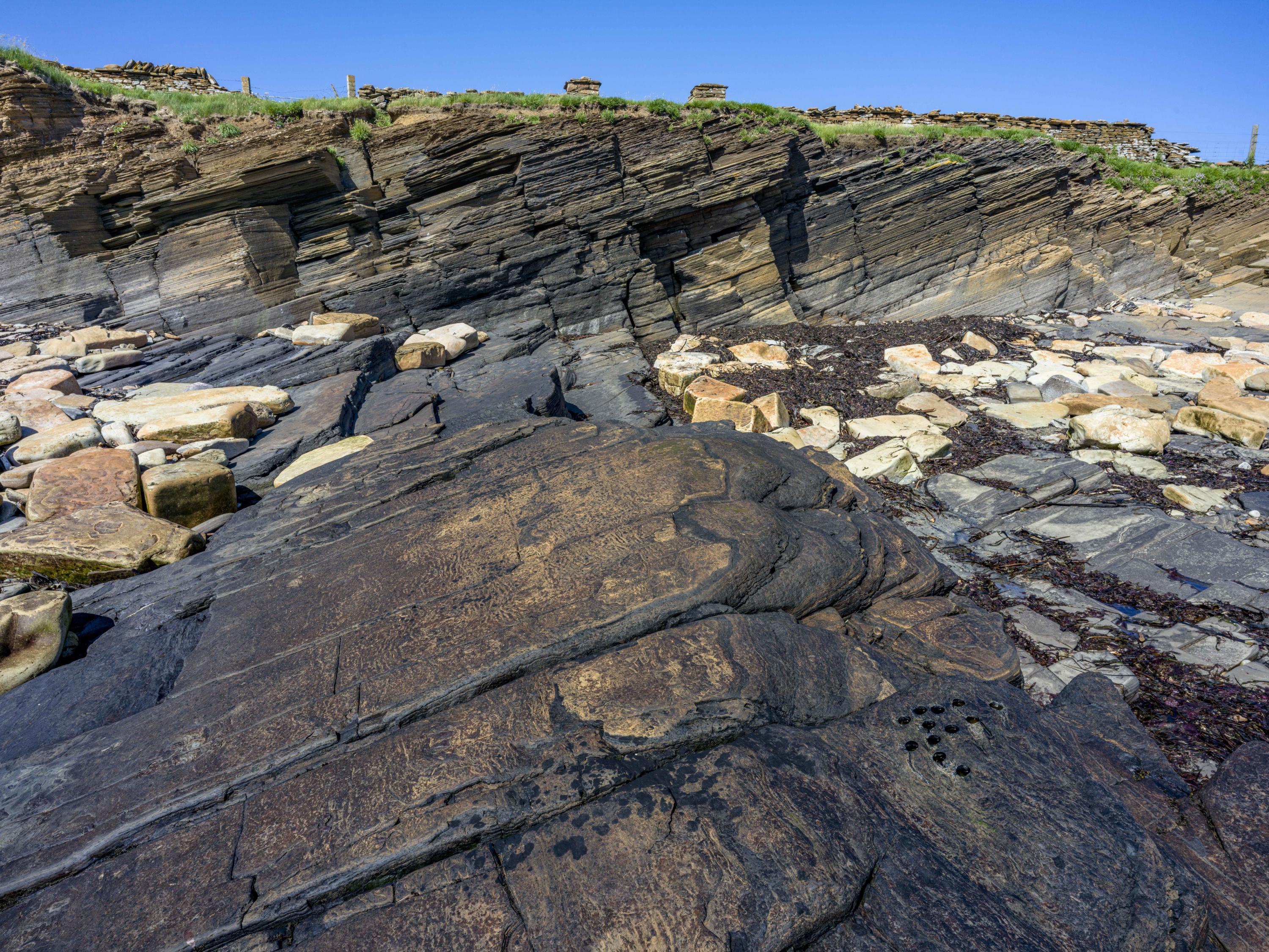 South Stromness Coast Section | SGT Geosites