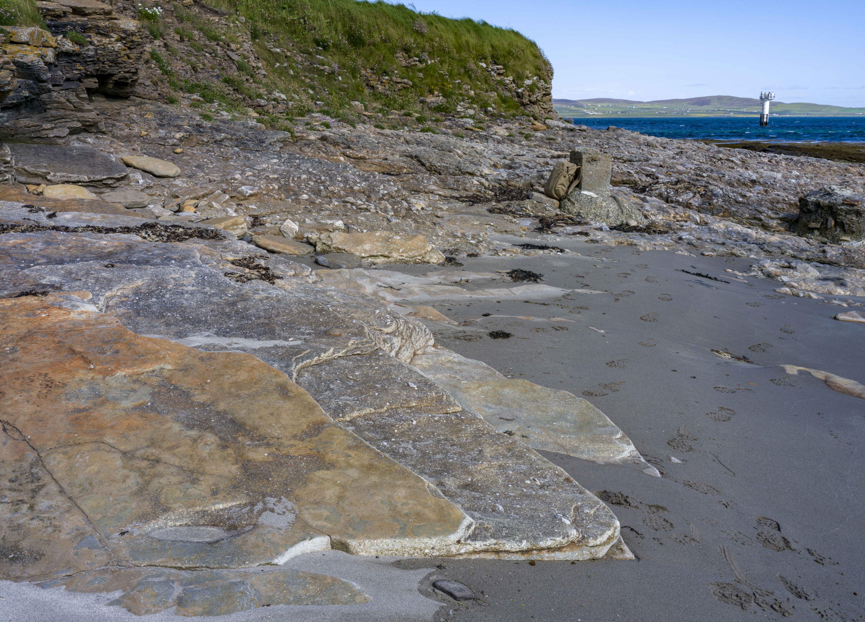 South Stromness Coast Section | SGT Geosites