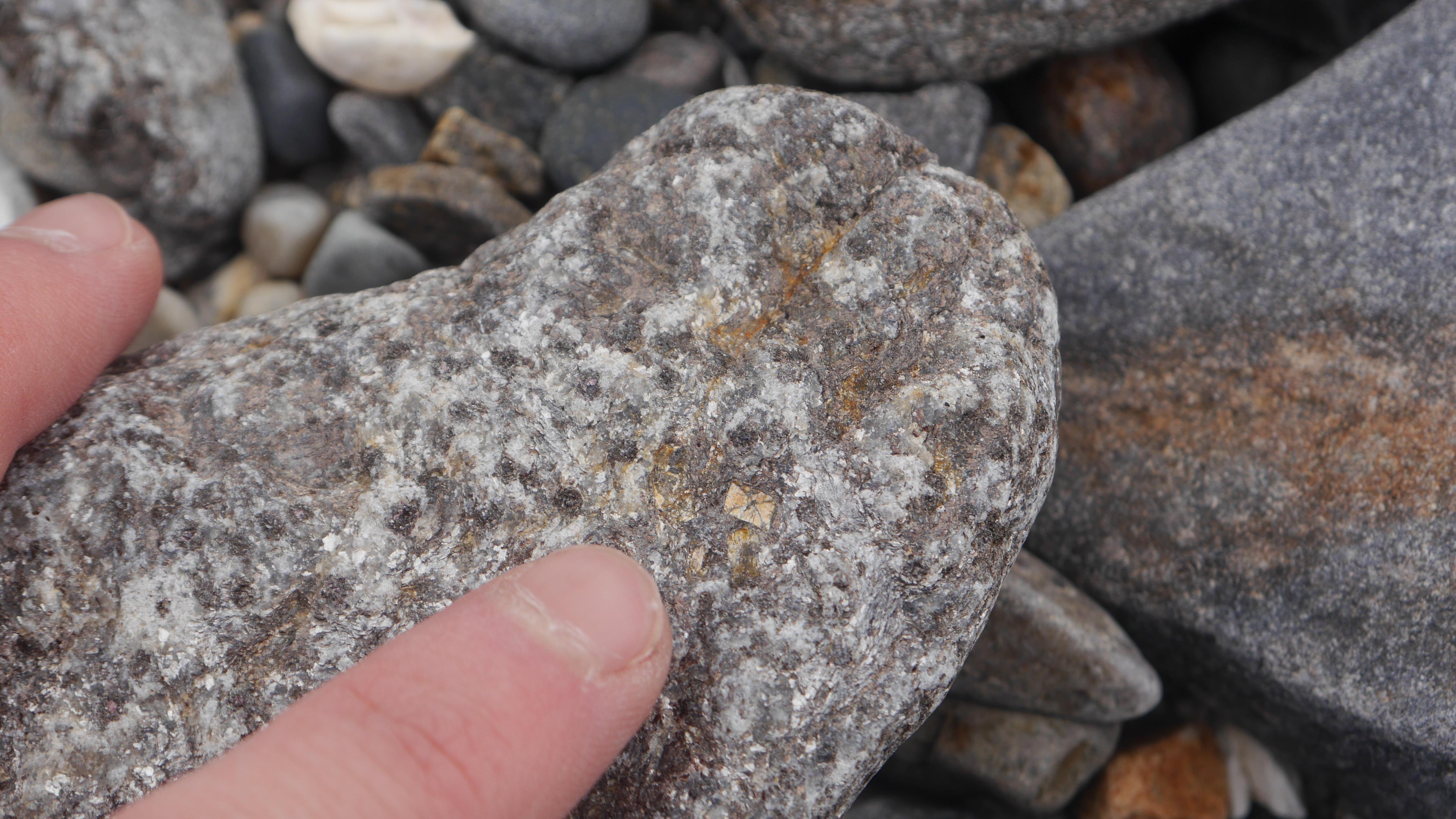 Ardalanish Bay, Mull | SGT Geosites