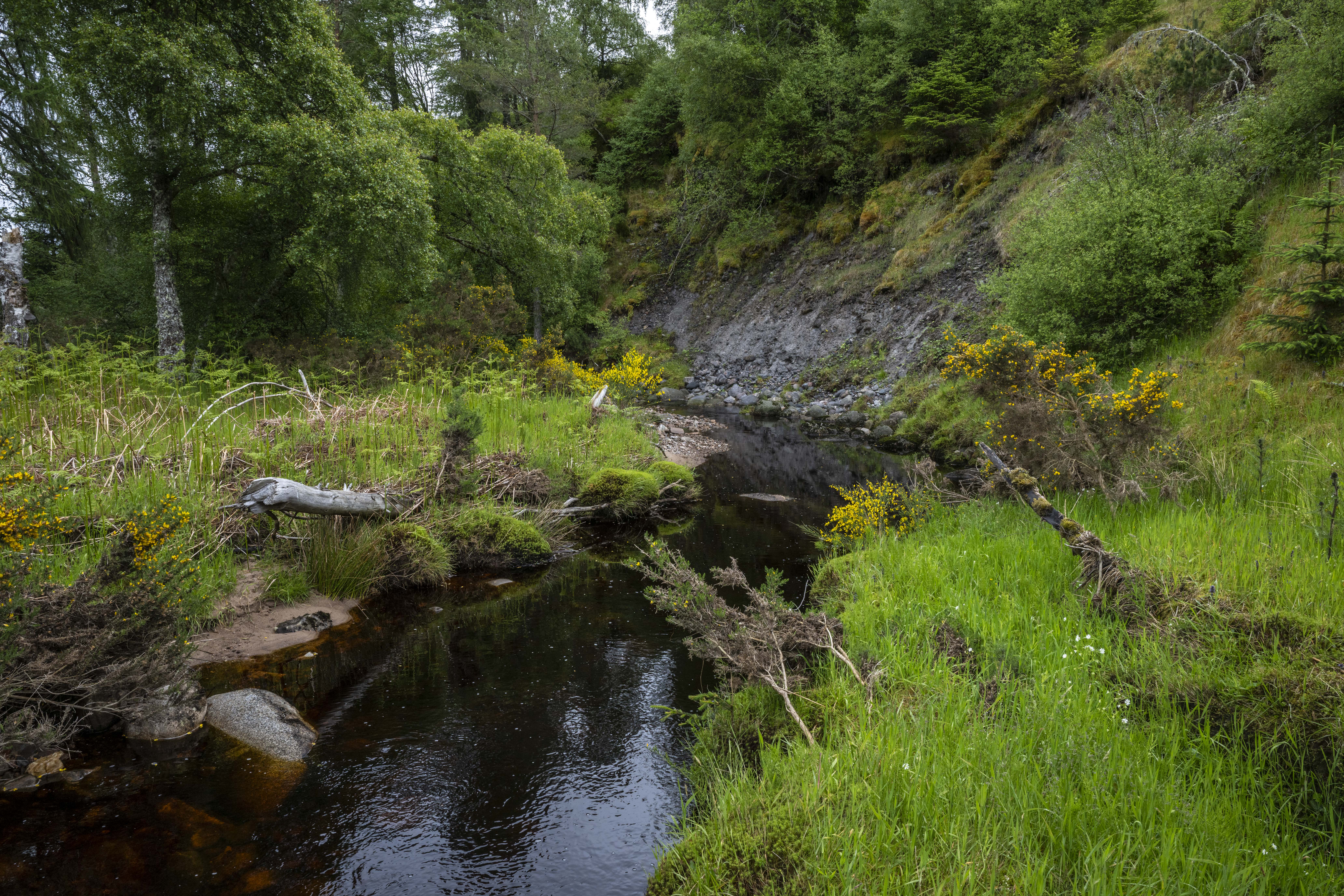 Muckle Burn, Clunas | SGT Geosites