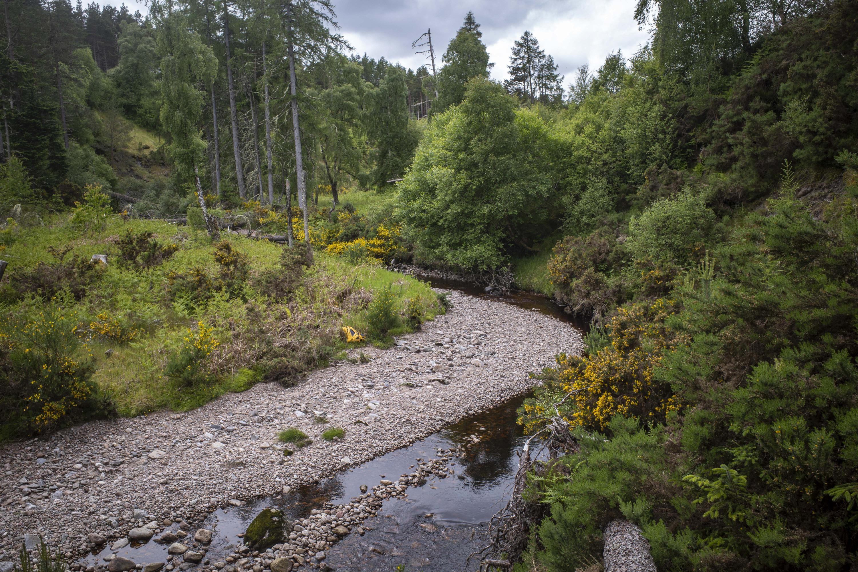 Muckle Burn, Clunas | SGT Geosites