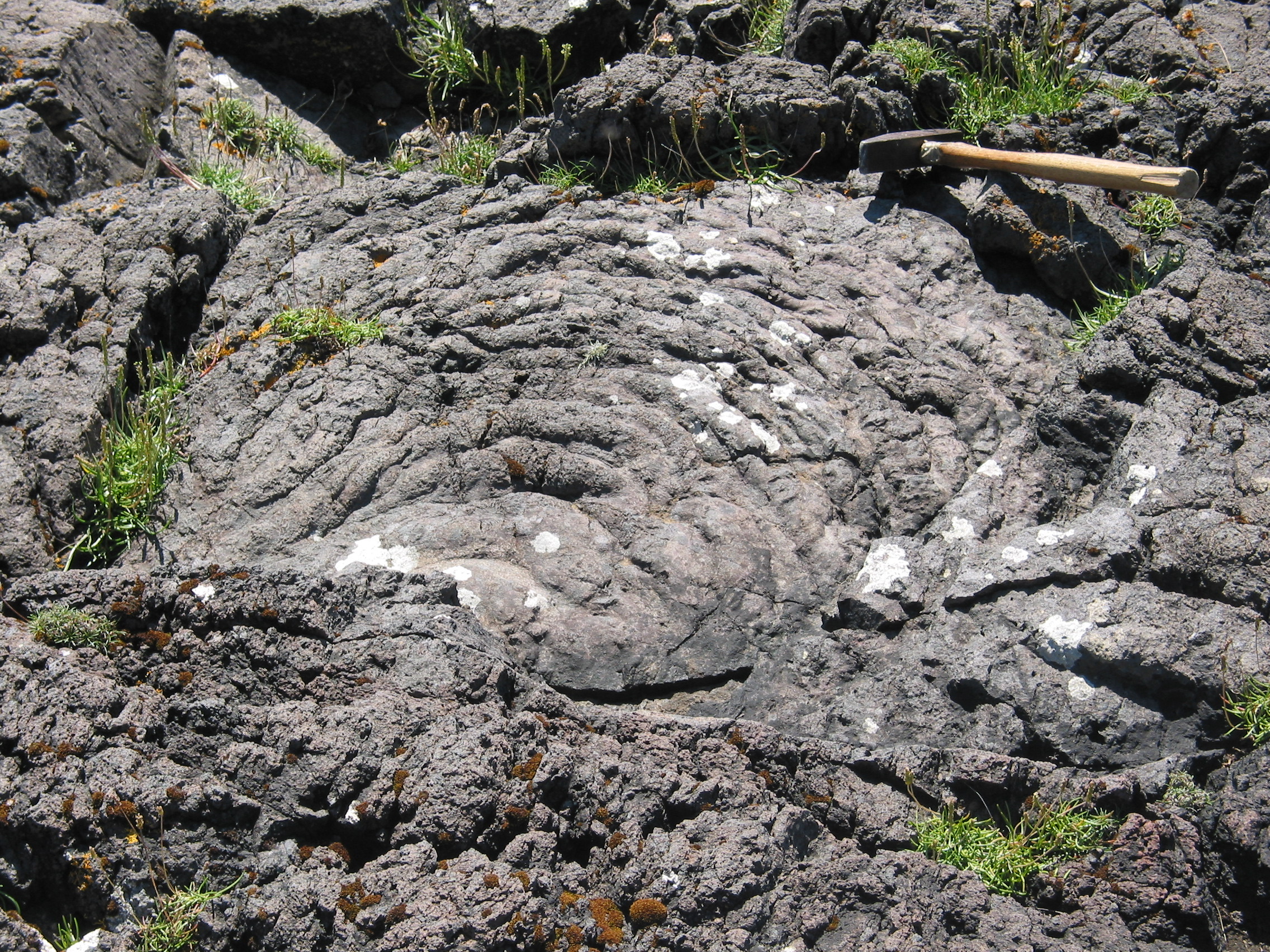 South Kerrera | SGT Geosites