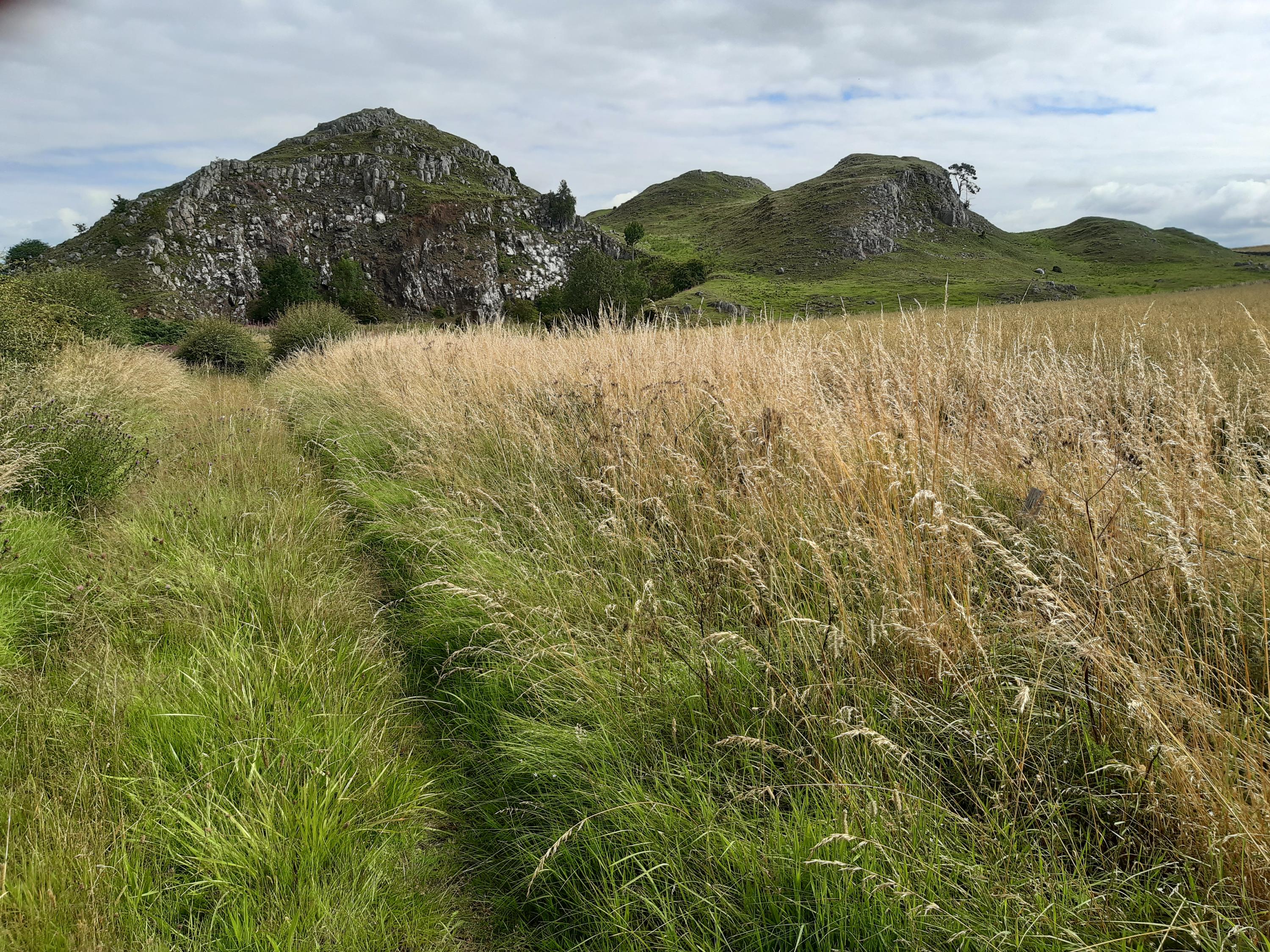 Hareheugh Craigs | SGT Geosites