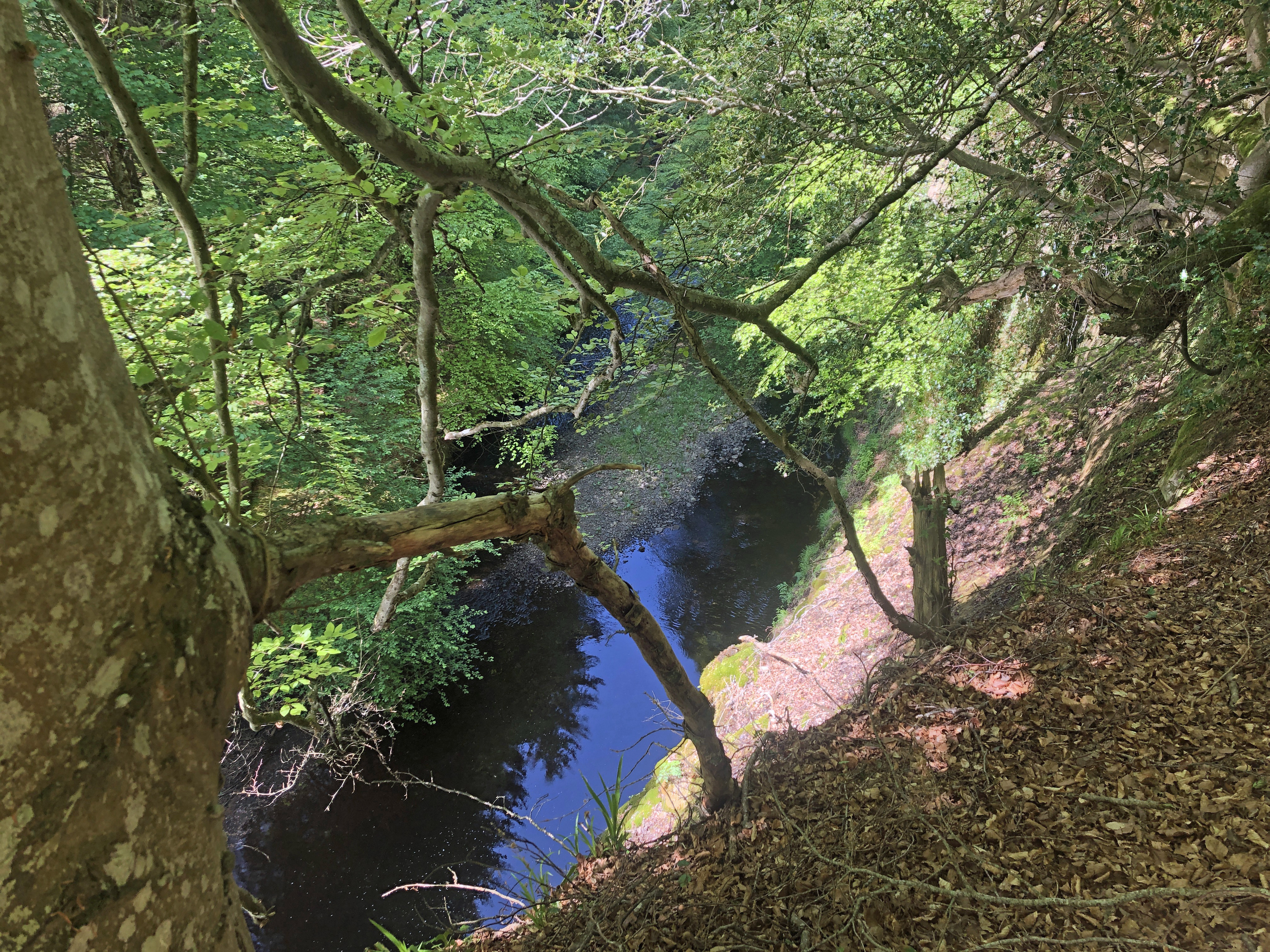 Boghole, Muckle Burn | SGT Geosites