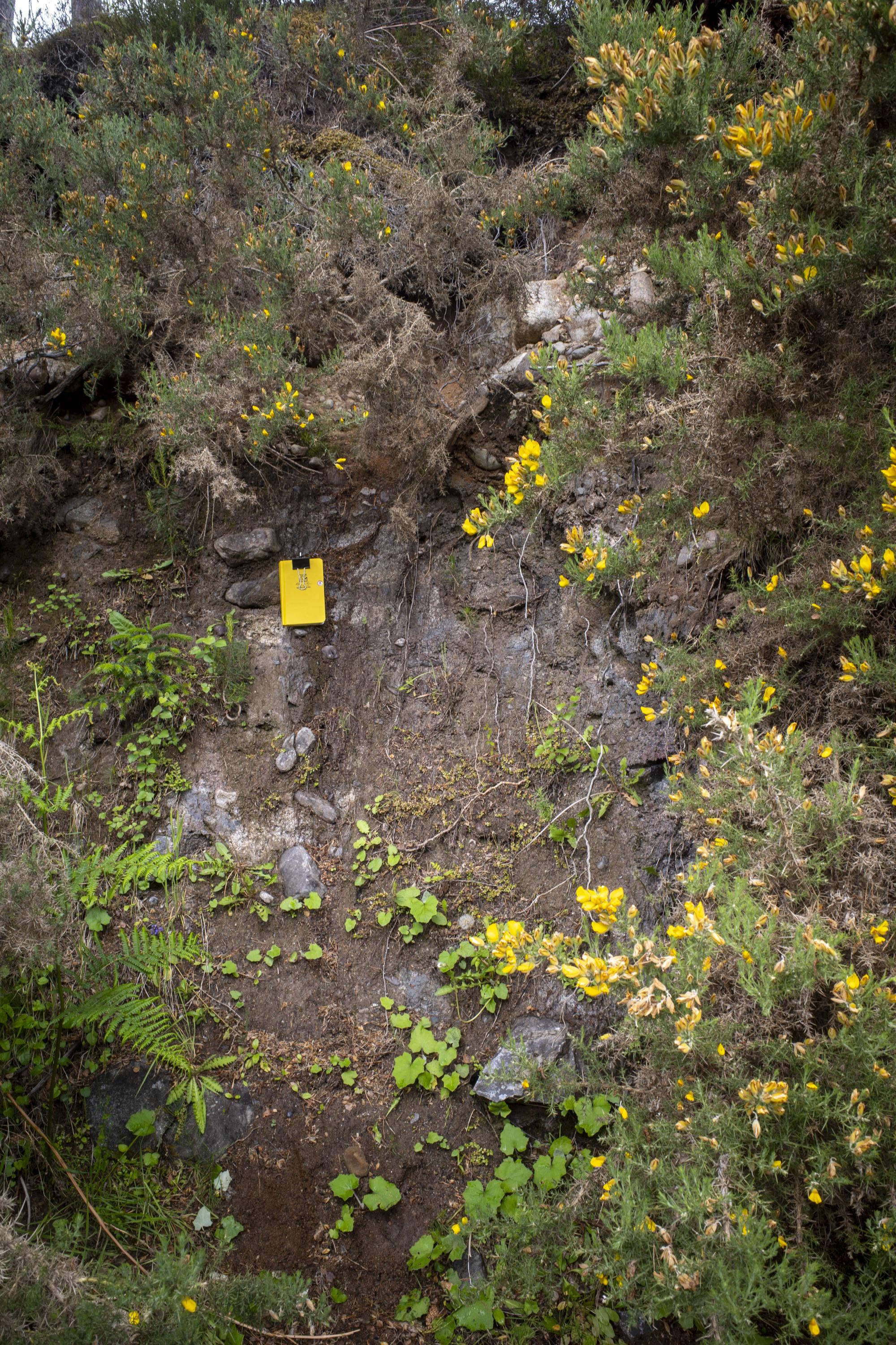 Muckle Burn, Clunas | SGT Geosites