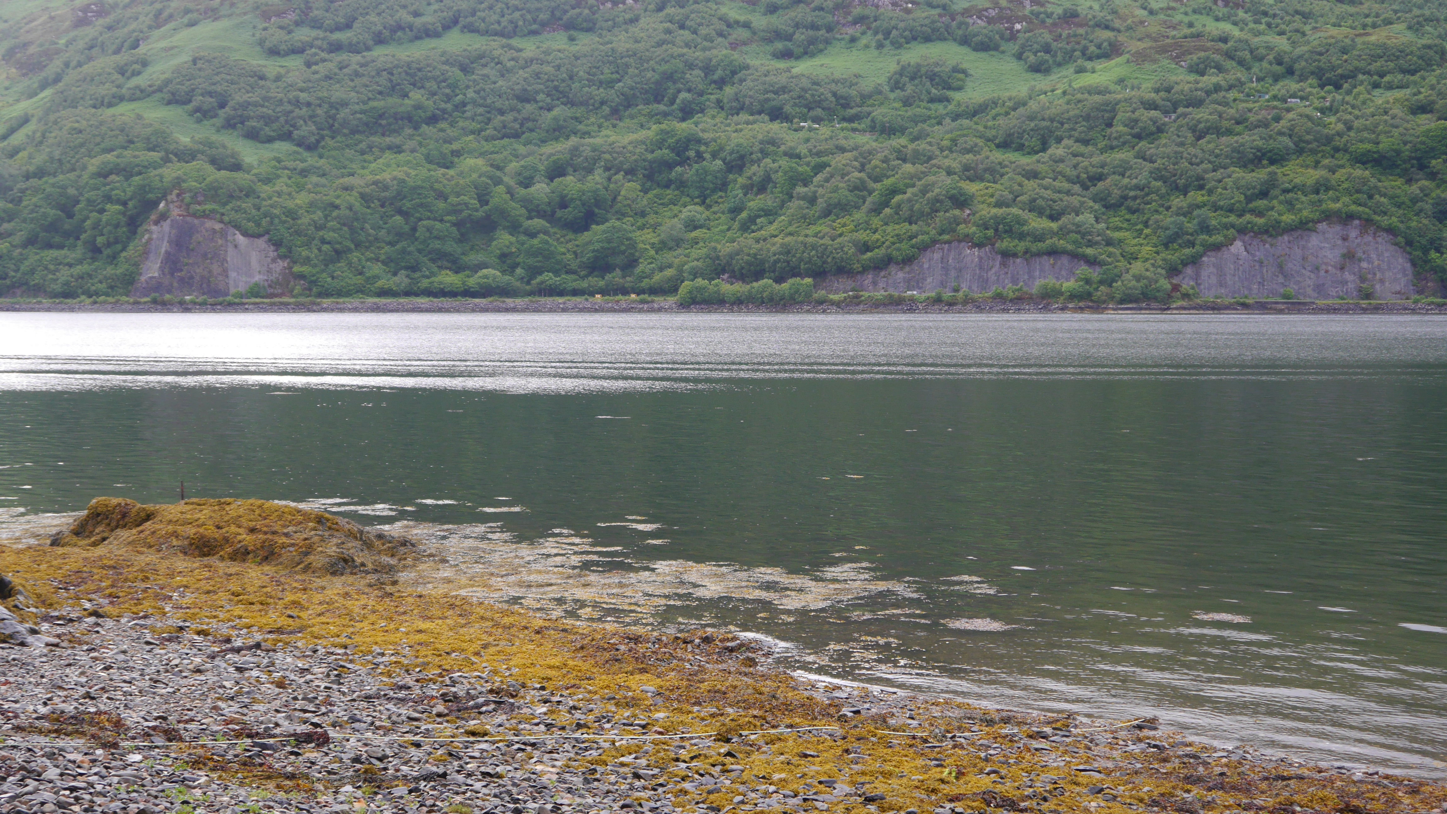 Dornie - Inverinate Road Section (A87) | SGT Geosites