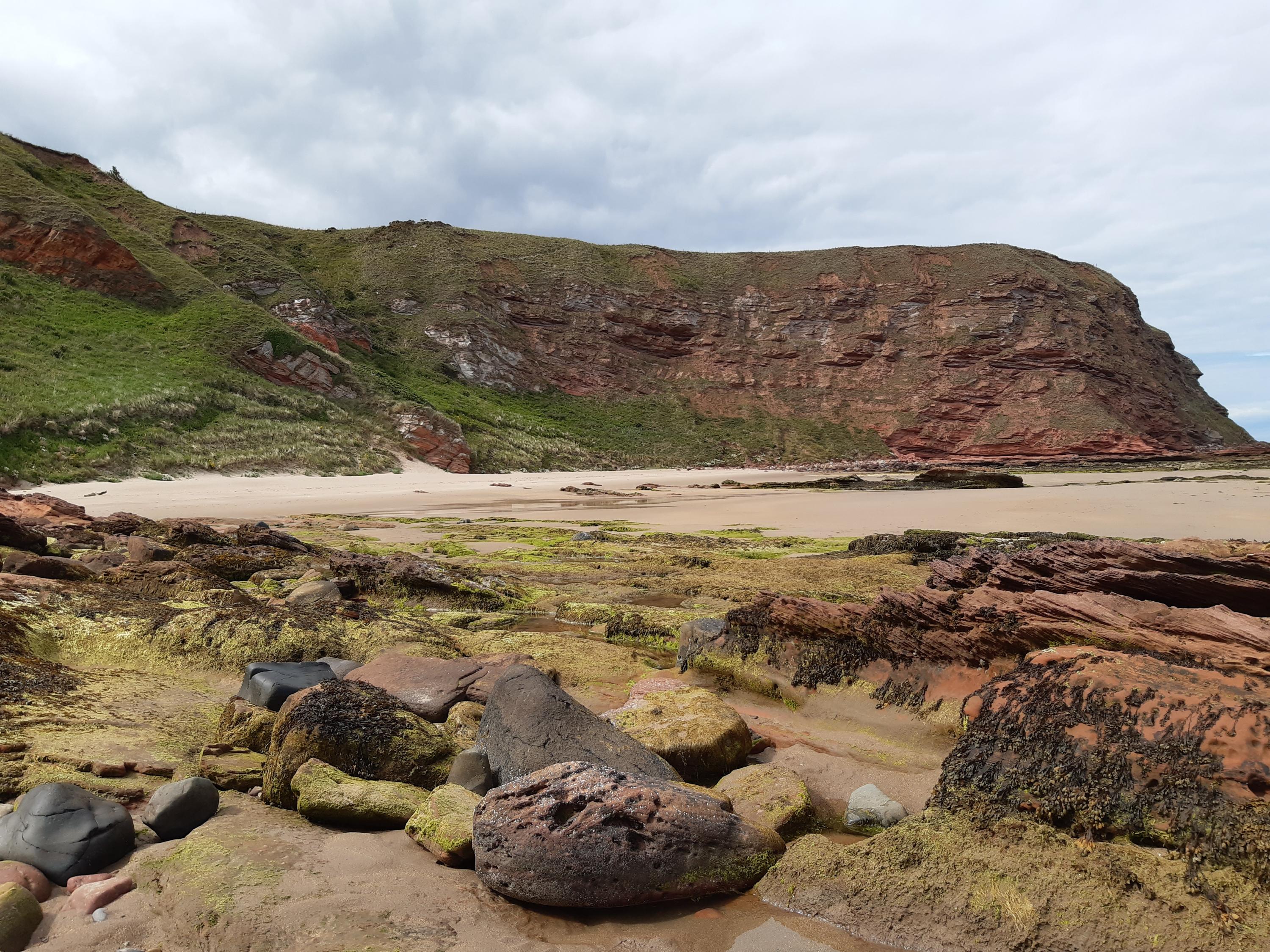 Hawk's Heugh | SGT Geosites