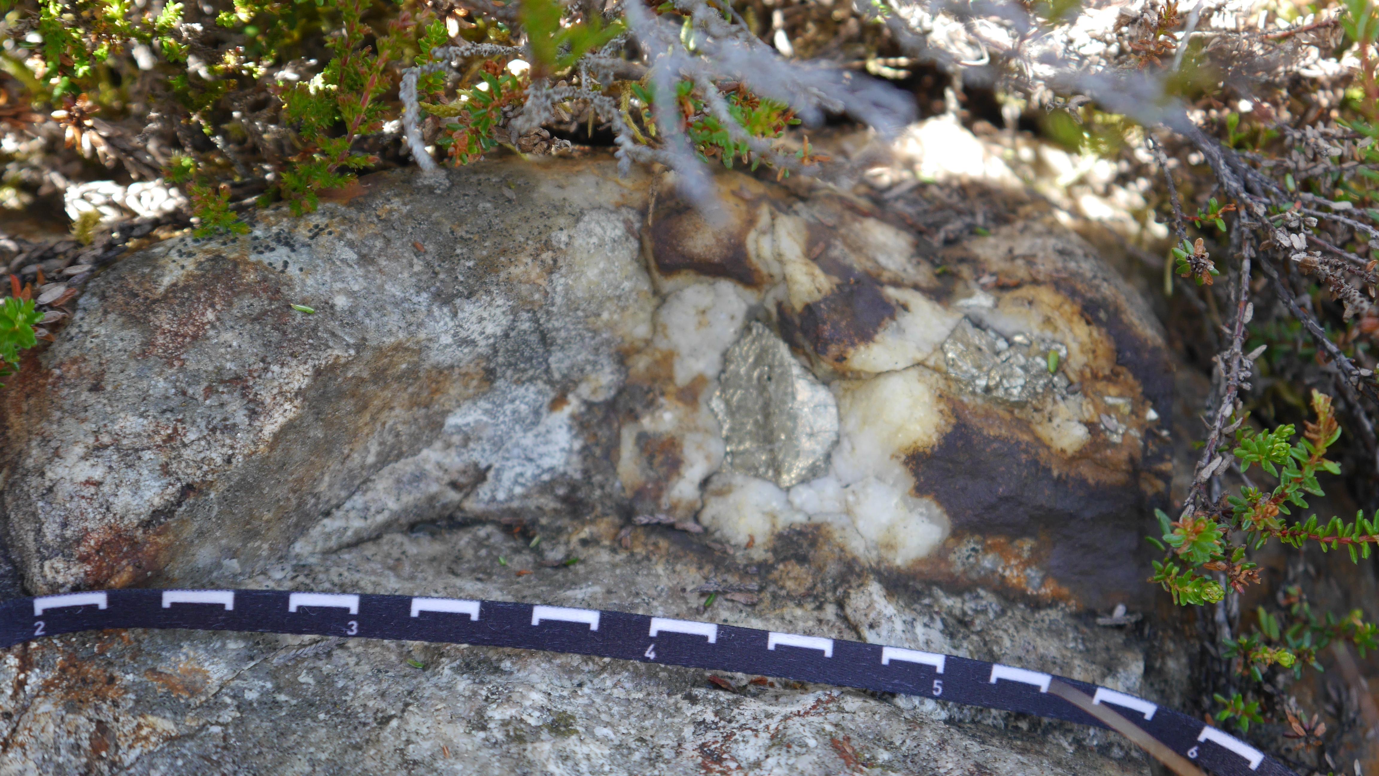 Meall Tairneachan - Creag an Loch | SGT Geosites