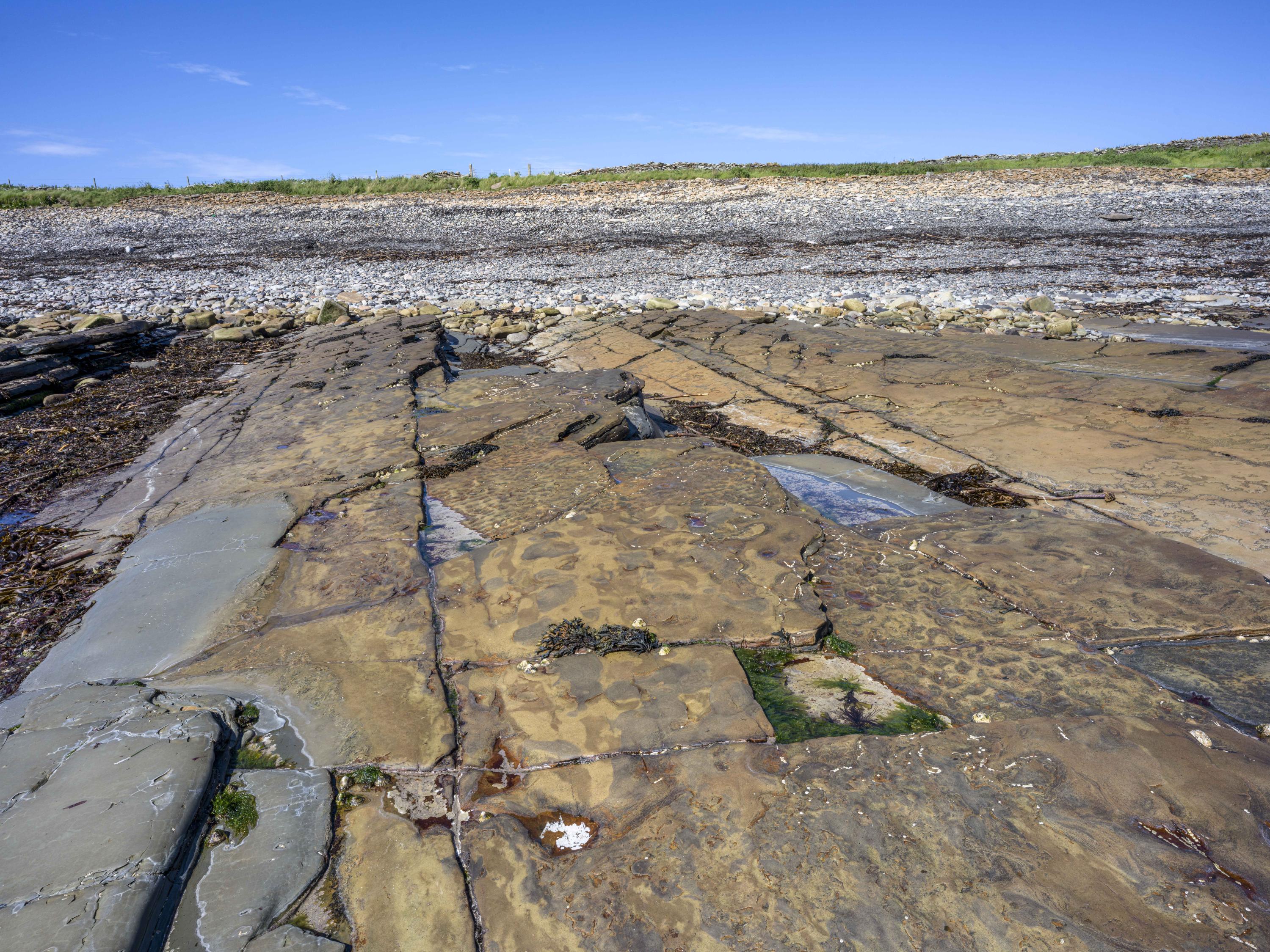 South Stromness Coast Section | SGT Geosites