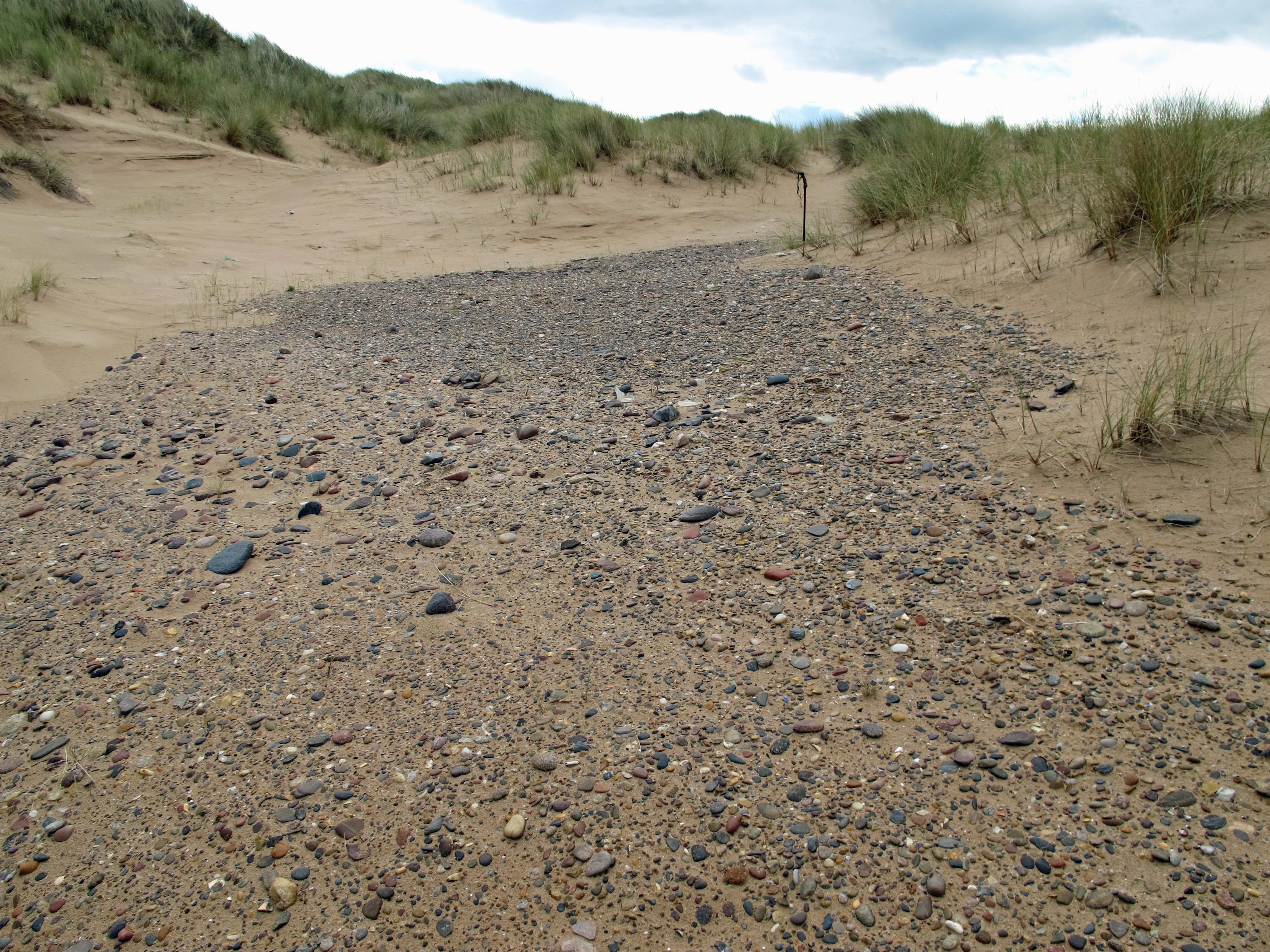 Forvie | SGT Geosites