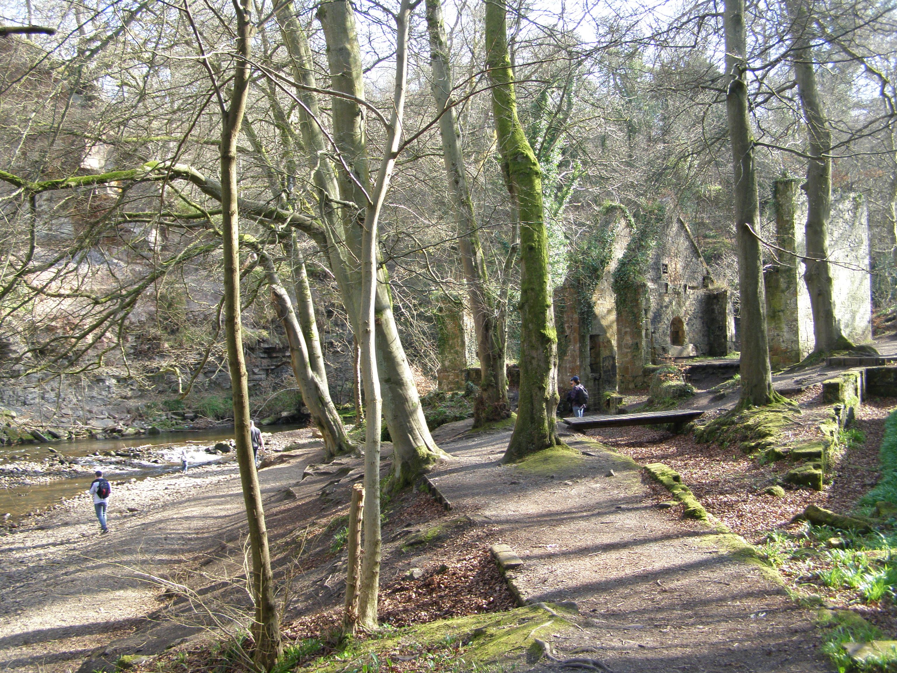 Roslin Glen South | SGT Geosites