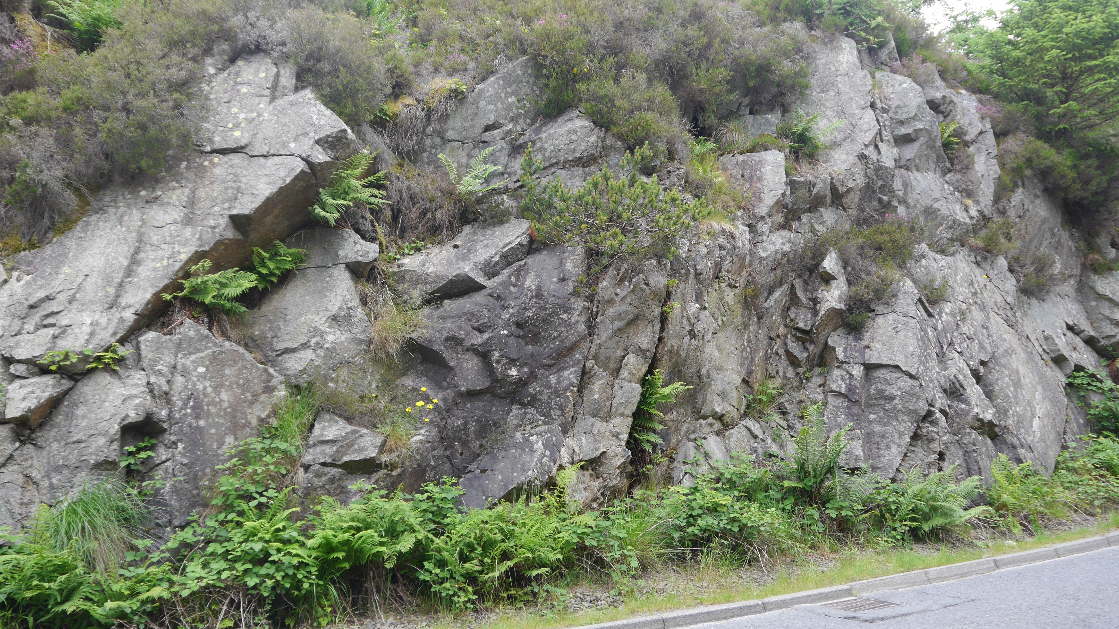 Clatteringshaws Dam Quarry | SGT Geosites