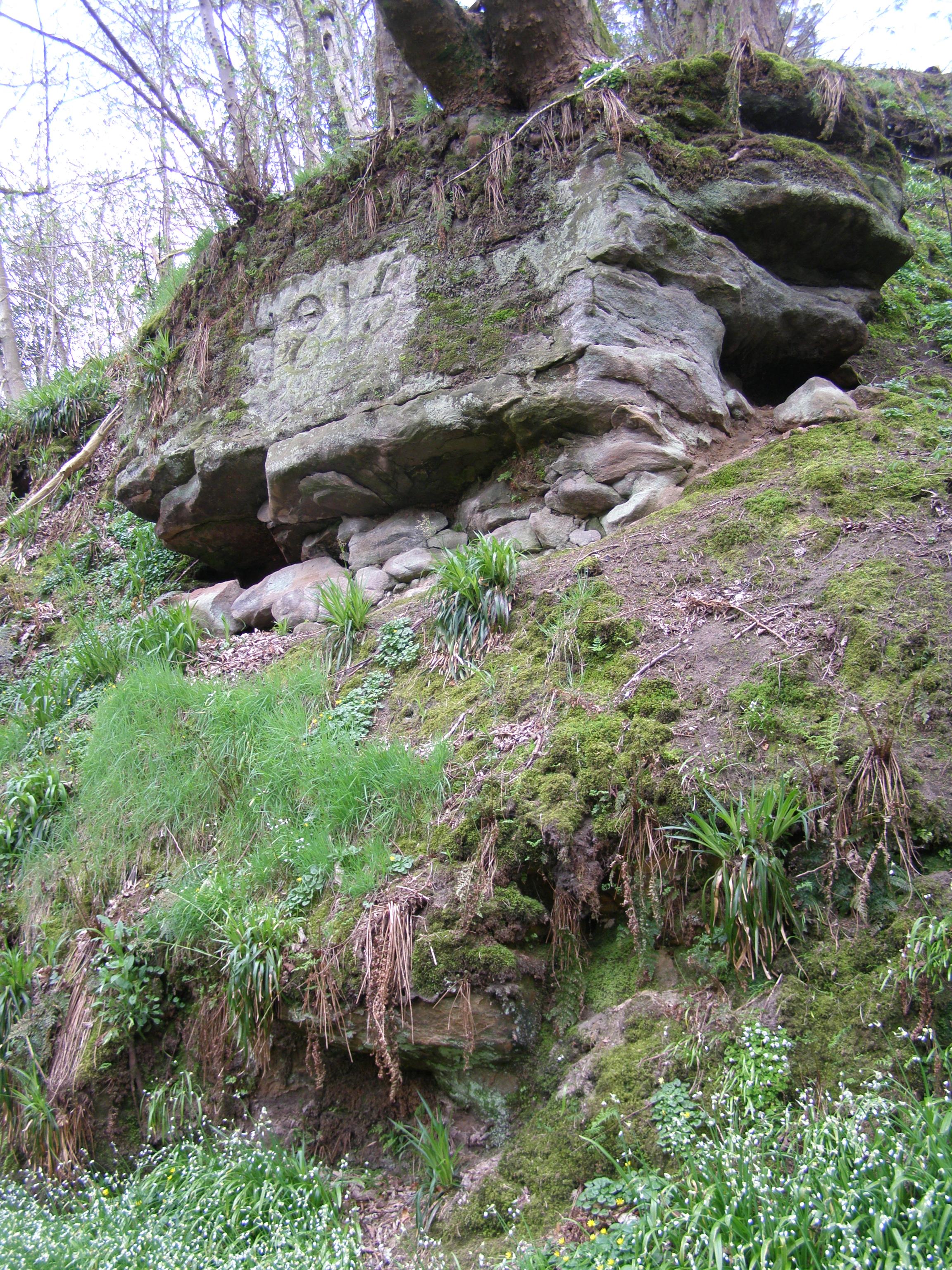 Roslin Glen South | SGT Geosites