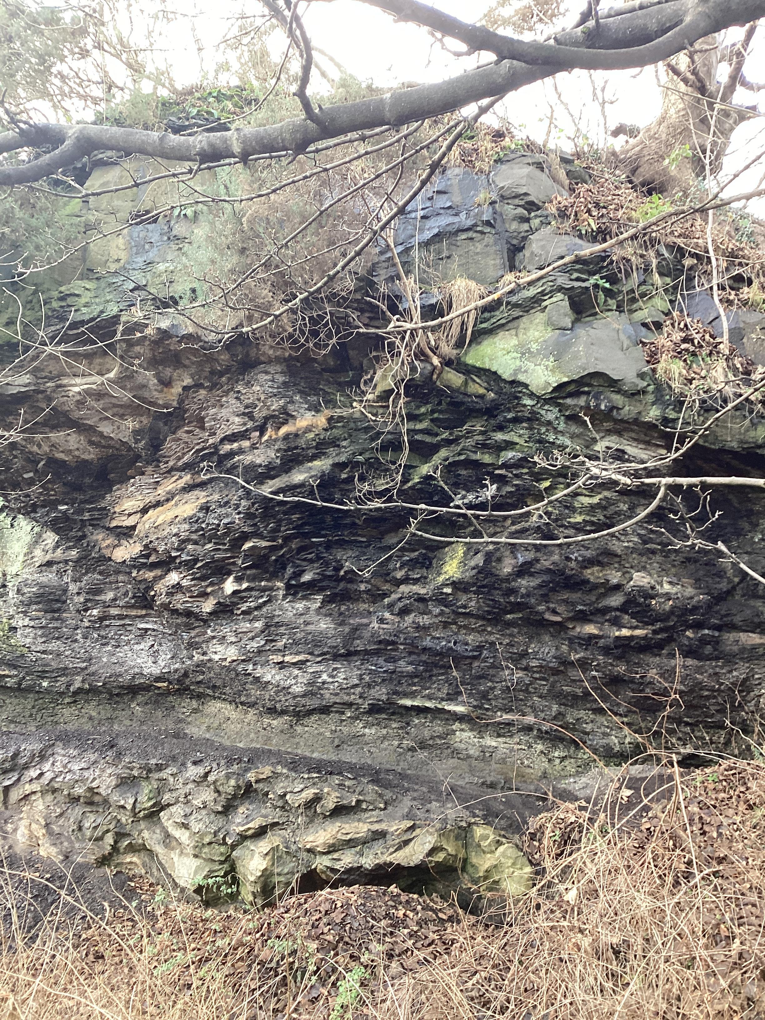 Craigleith | SGT Geosites